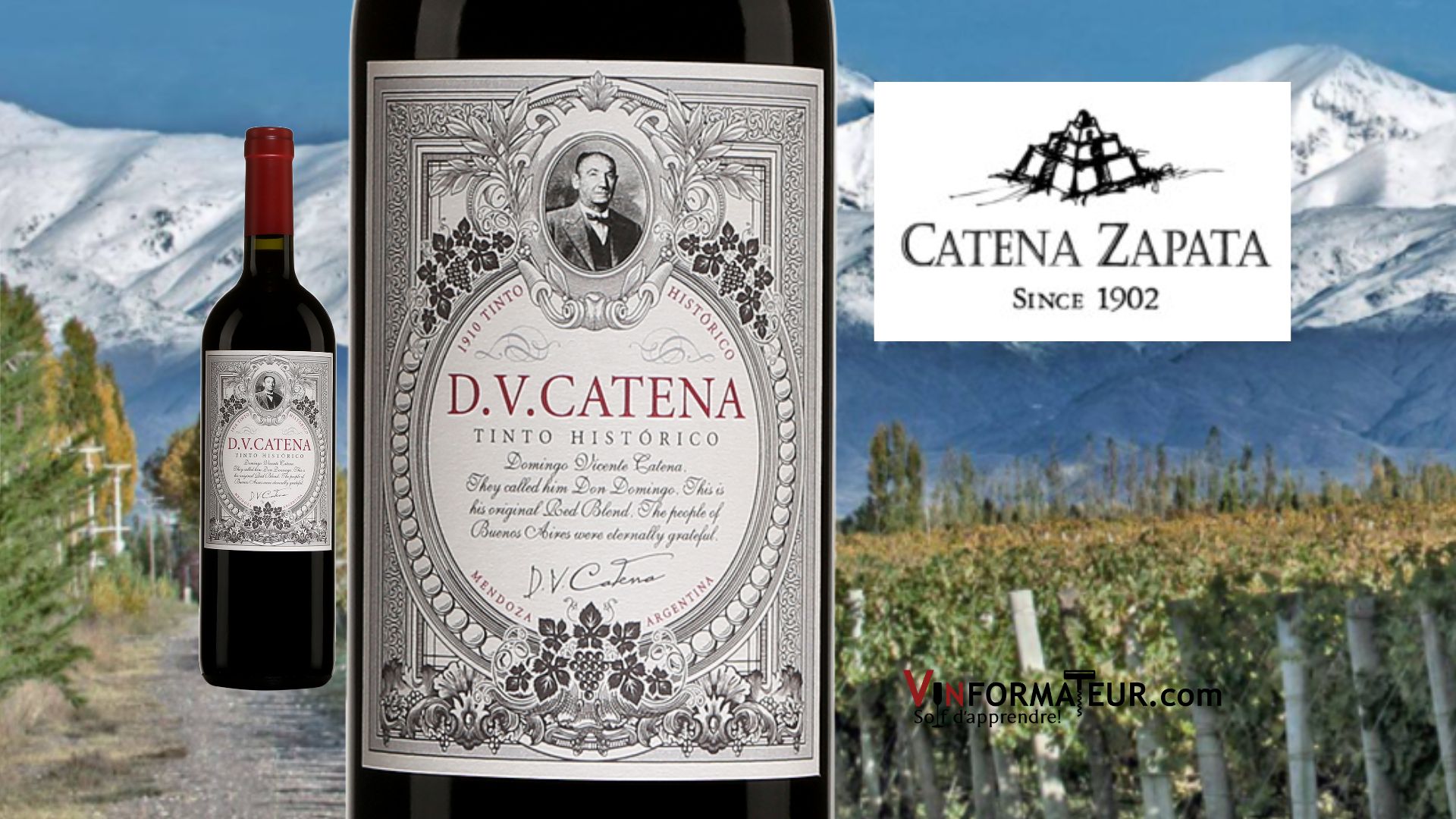 Coup de Coeur! D.V. Catena, Tinto Historico, 2019 | Vinformateur