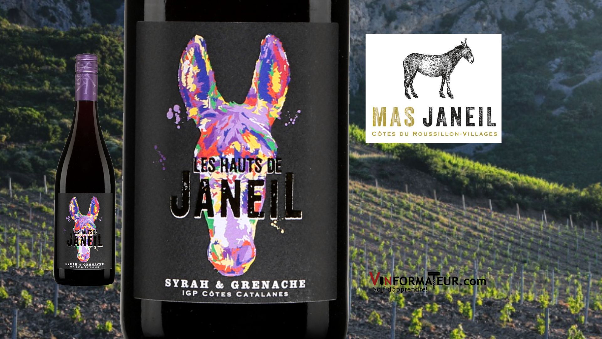 Les Hauts de Janeil, Syrah et Grenache 2020, sous la barre des 15 ...