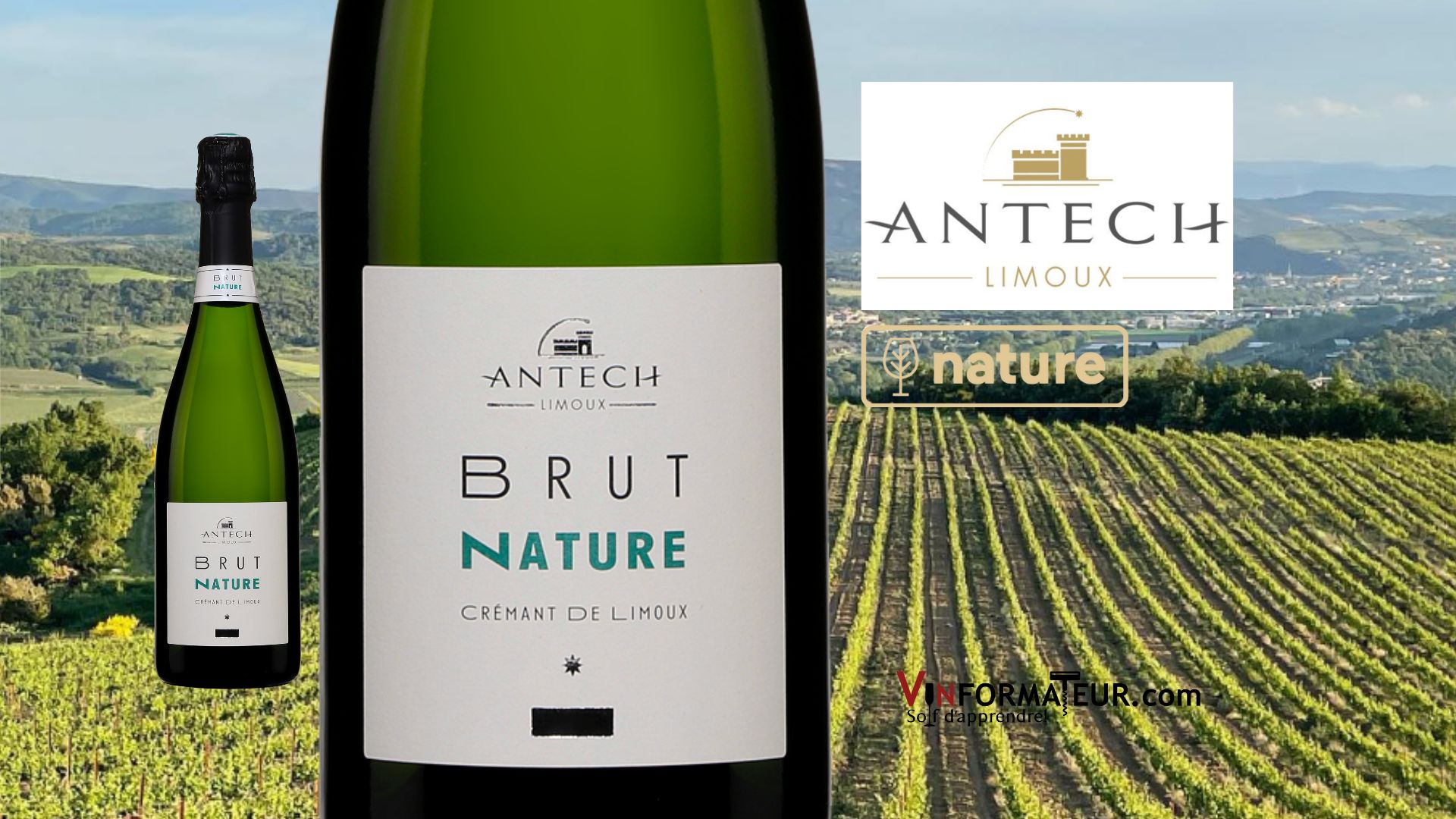 Crémant de Limoux Antech, Brut nature. | Vinformateur