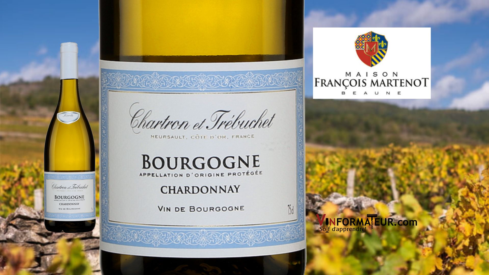 Coup de Coeur de Bourgogne! Chartron & Trébuchet 2020. | Vinformateur