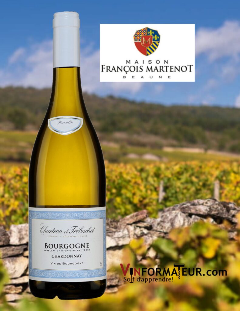 Coup de Coeur de Bourgogne! Chartron & Trébuchet 2020. | Vinformateur