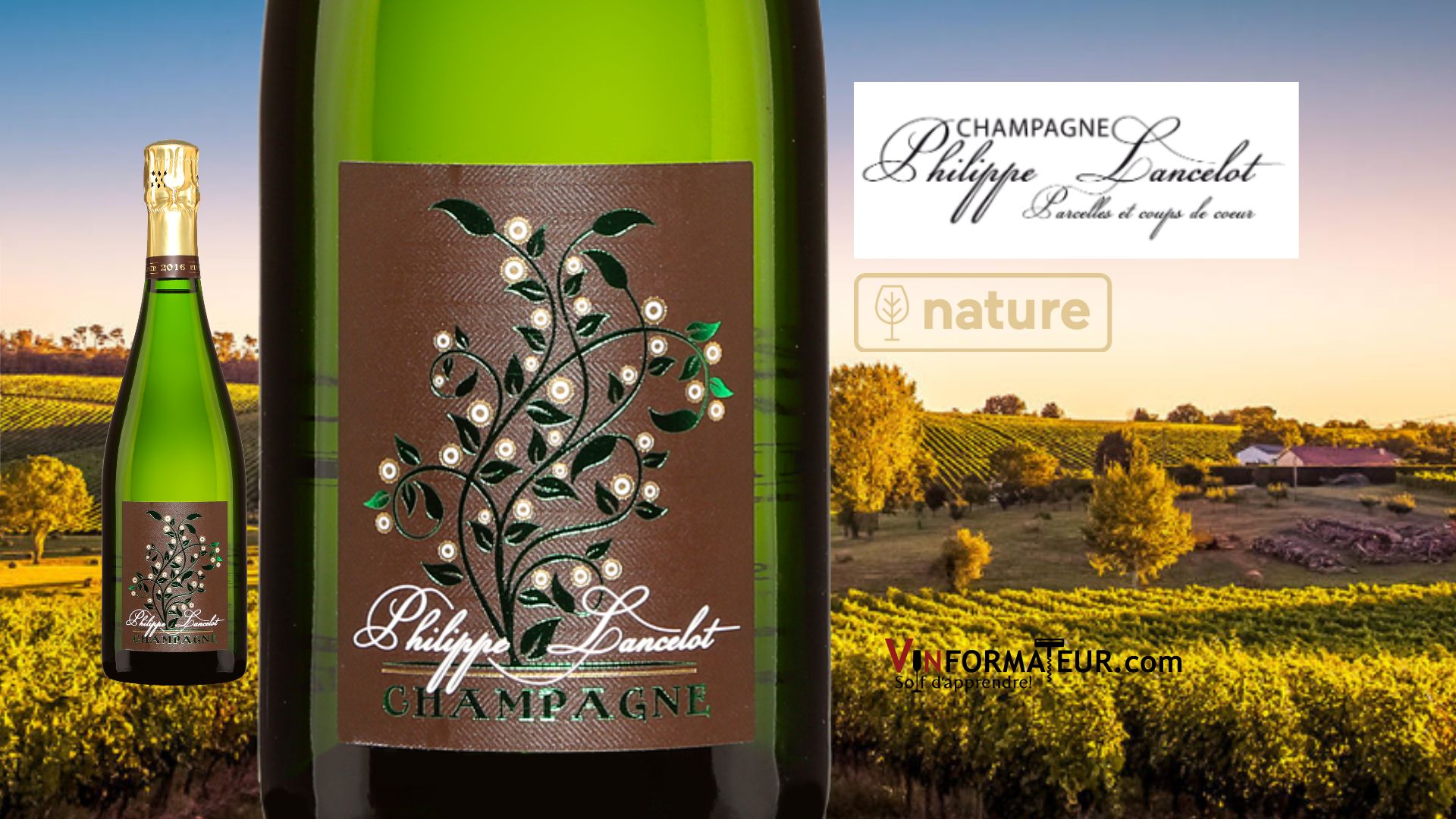 Un superbe Champagne Grand Cru! Fine Fleur, Extra Brut, Nature, Bio ...