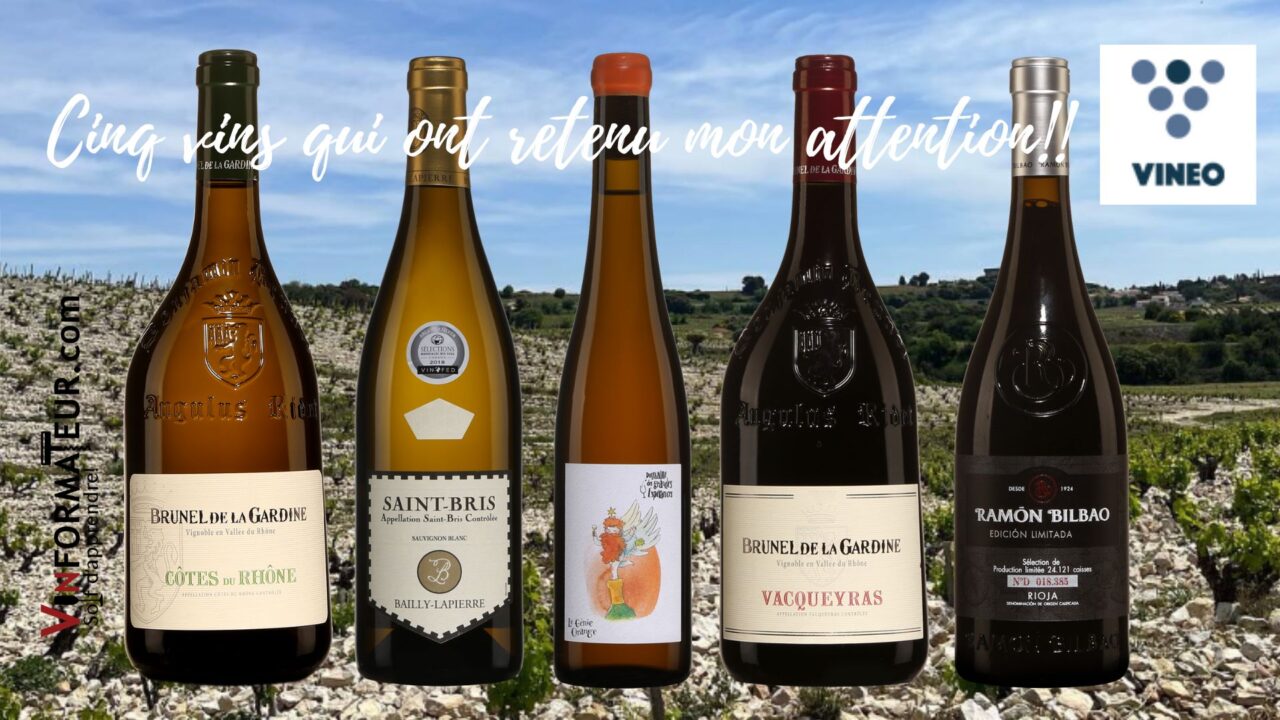 Voici cinq vins blancs, orange et rouges qui ont retenu mon attention ...