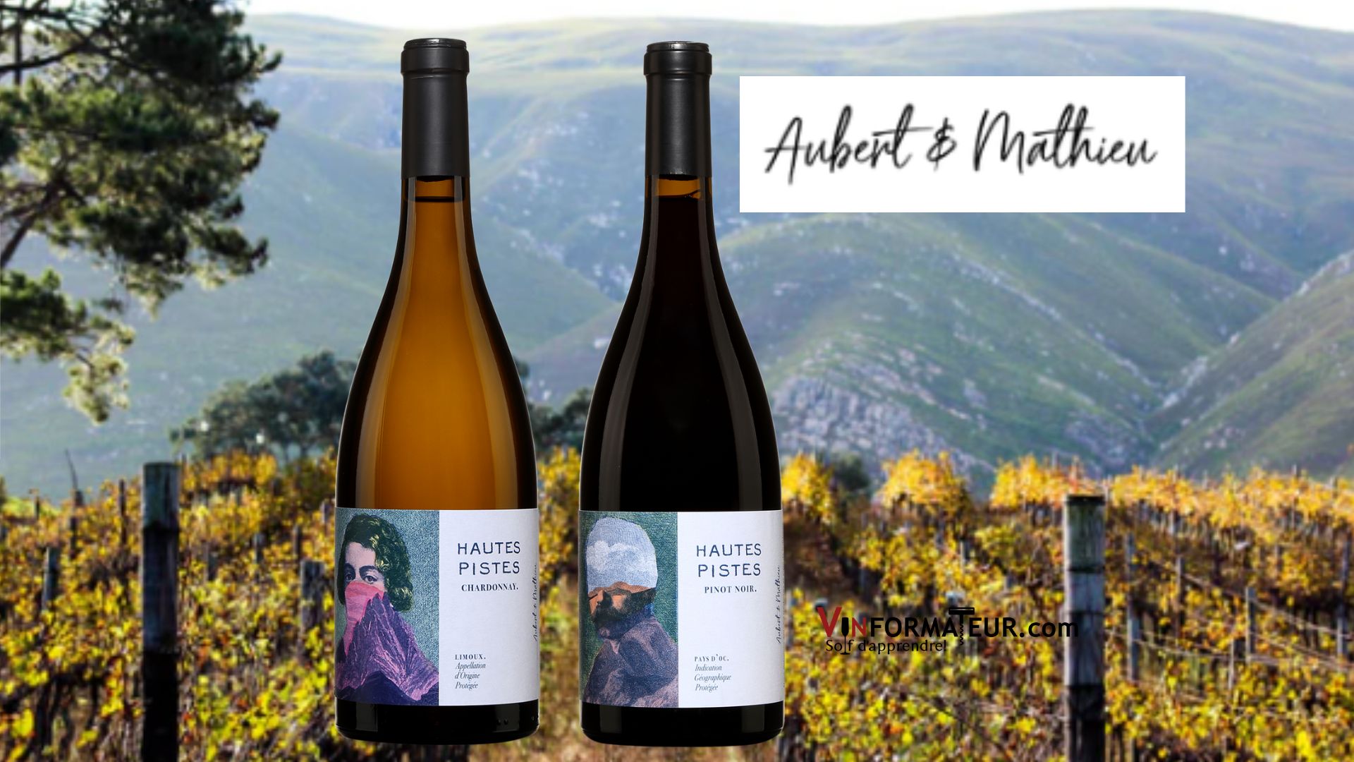 Deux vins surprenants du Languedoc! Aubert & Mathieu, Hautes Pistes ...