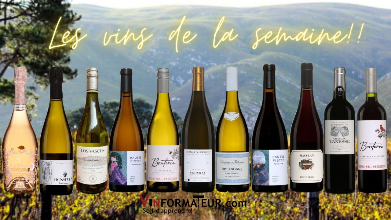 Les vins de la semaine! | Vinformateur