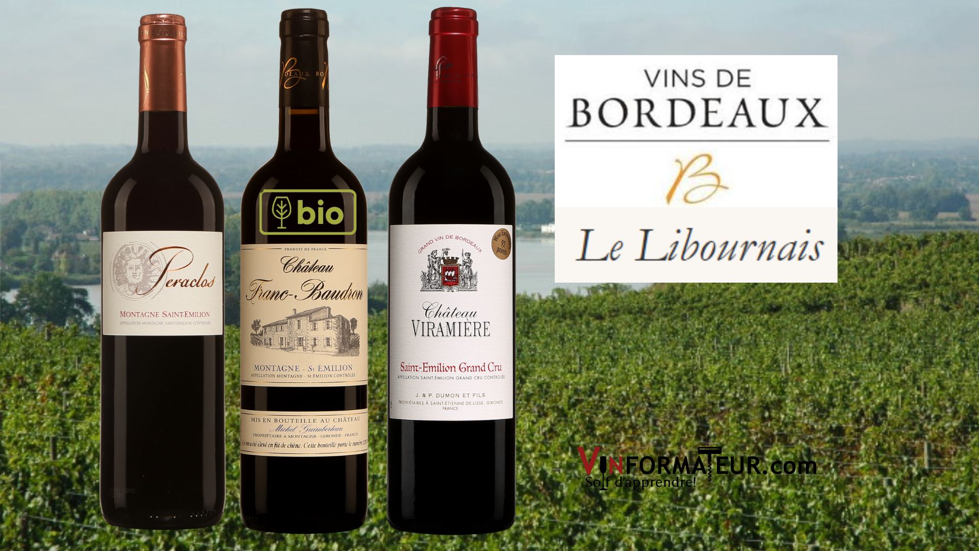 Vins rouges du Libournais à découvrir. | Vinformateur