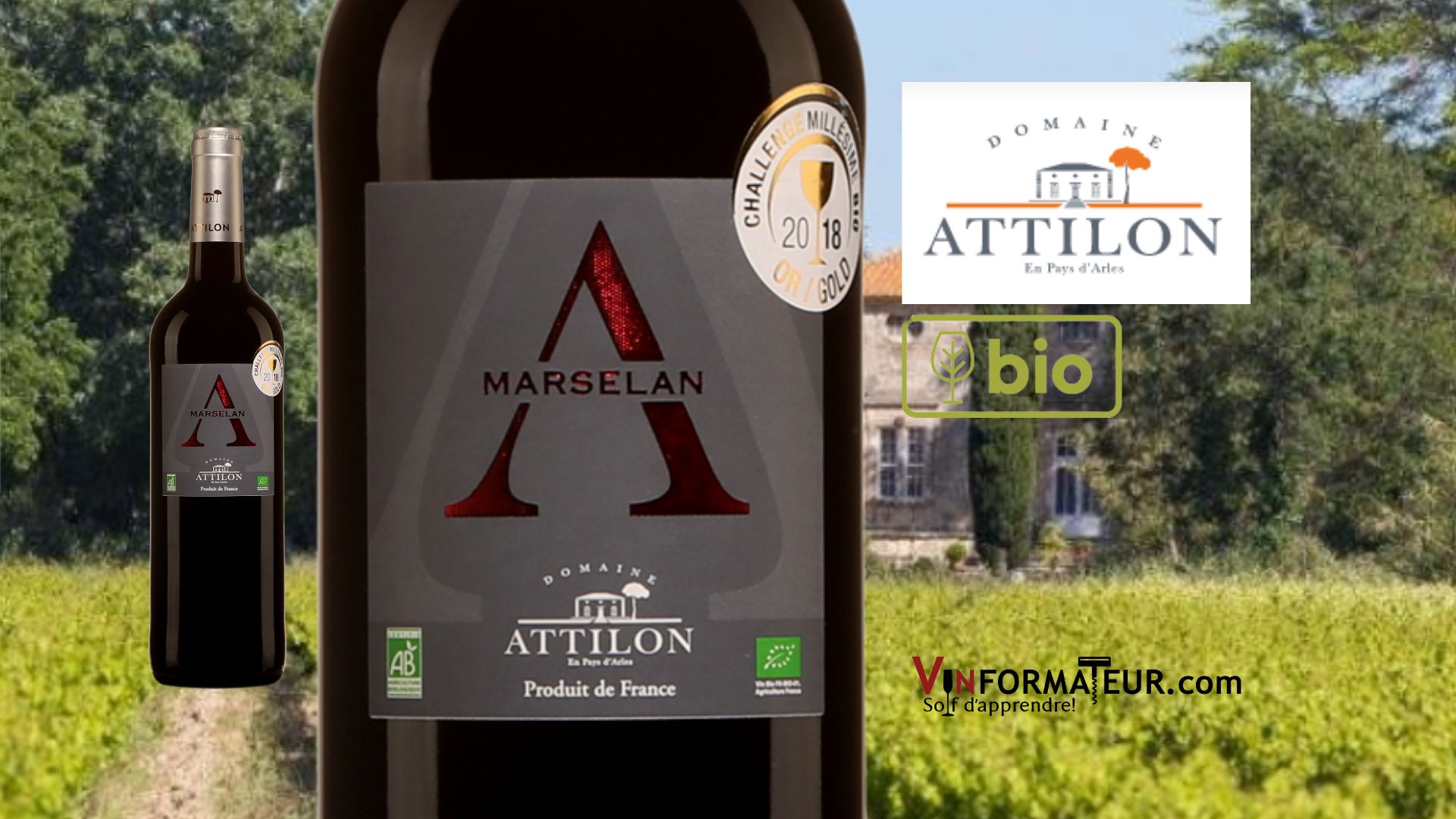 Marselan Domaine Attilon Méditerranée IGP | Vinformateur