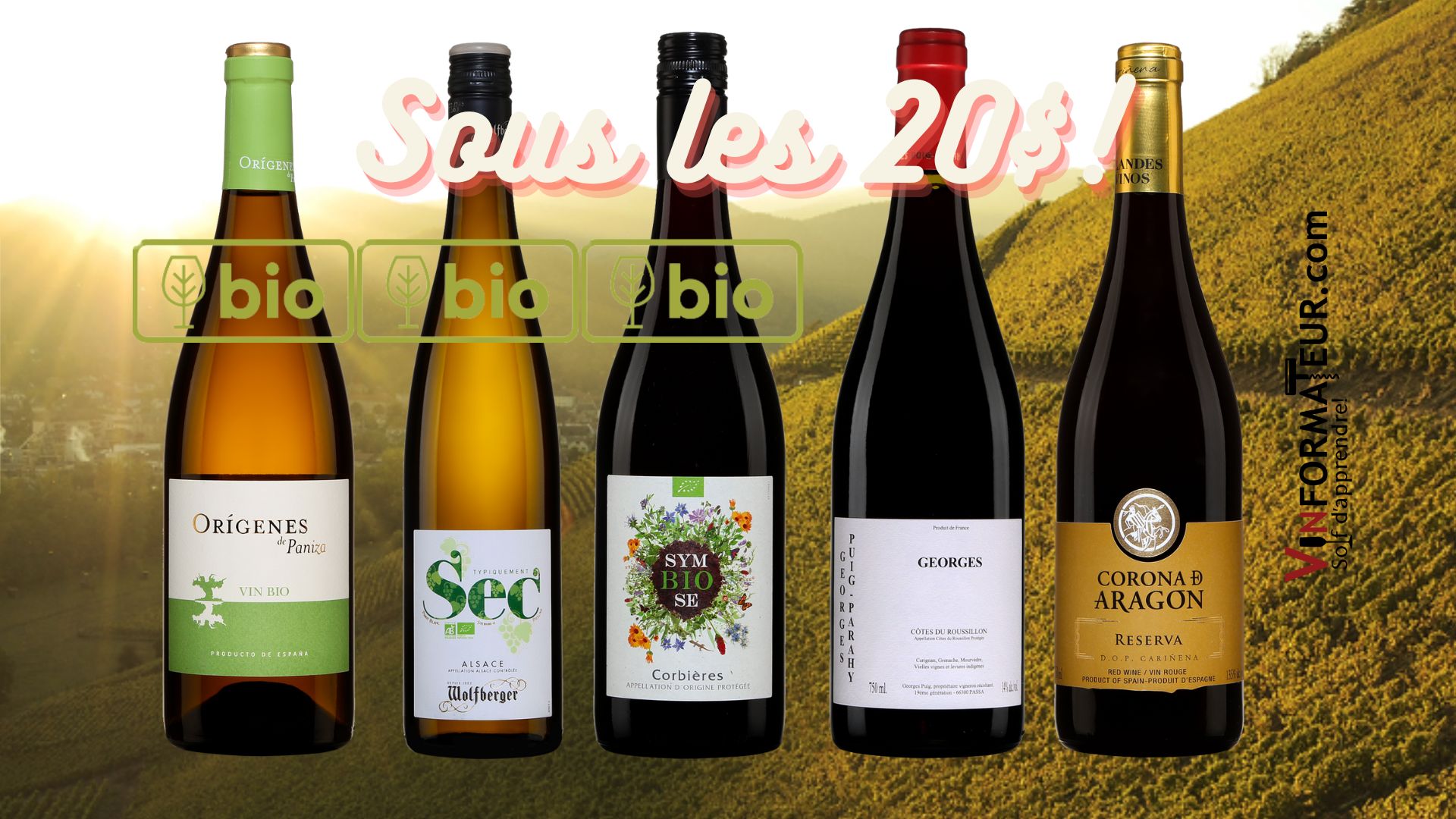 Vins blancs et rouges sous les 20$ | Vinformateur