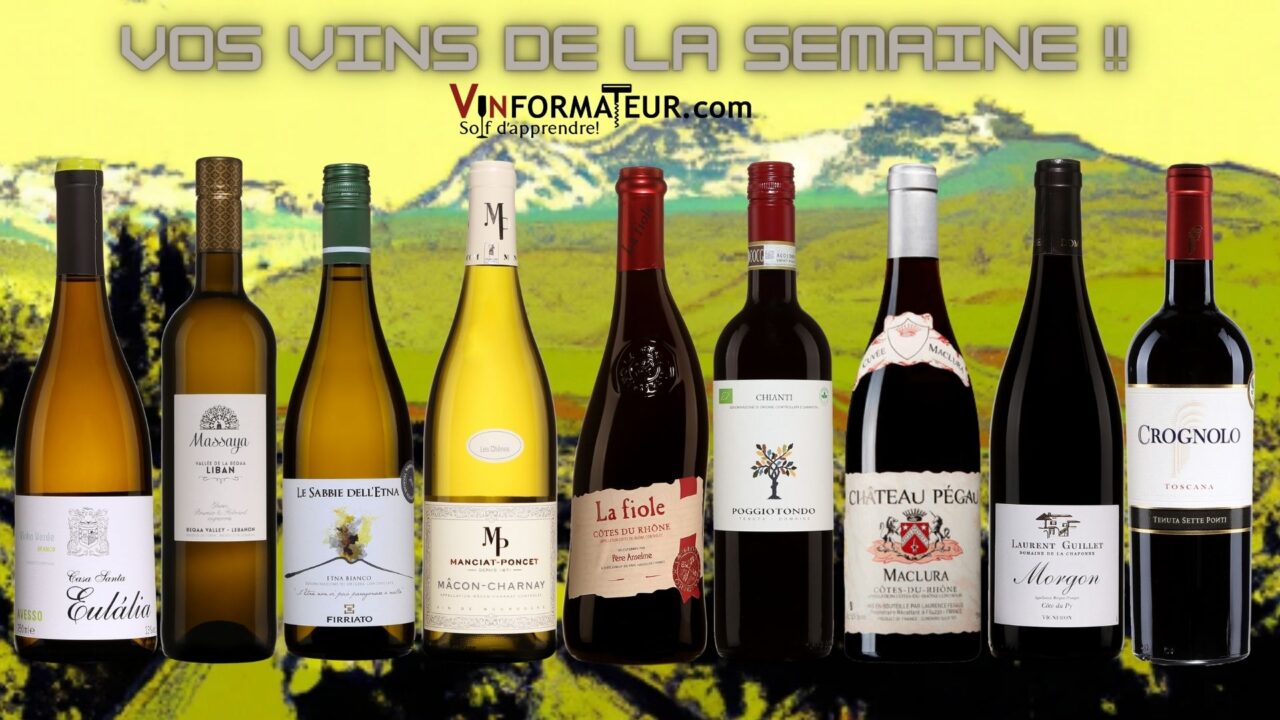 Vins blancs et rouges et coups de coeur | Vinformateur