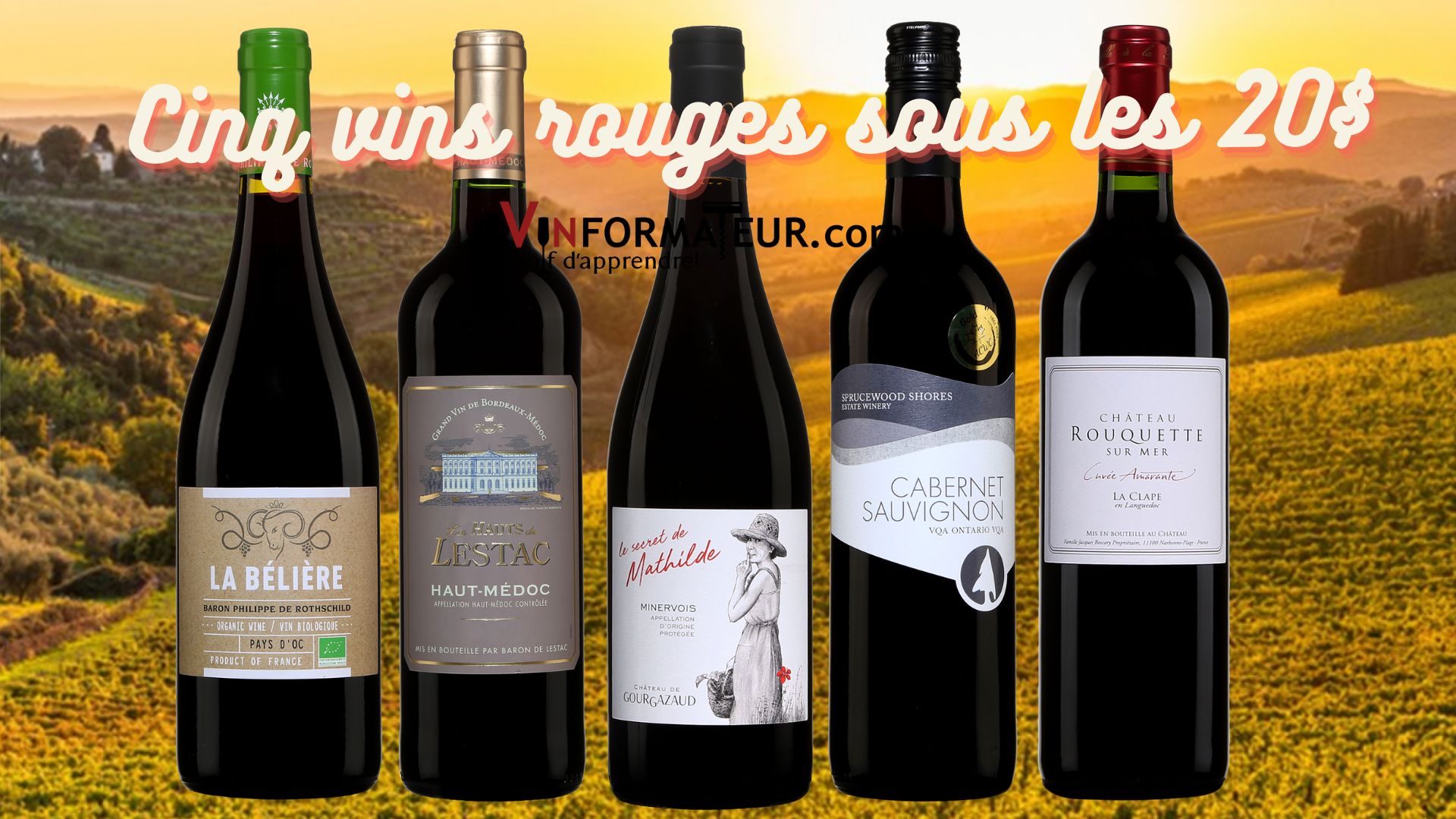 Vins rouges de moins de 20$ | Vinformateur