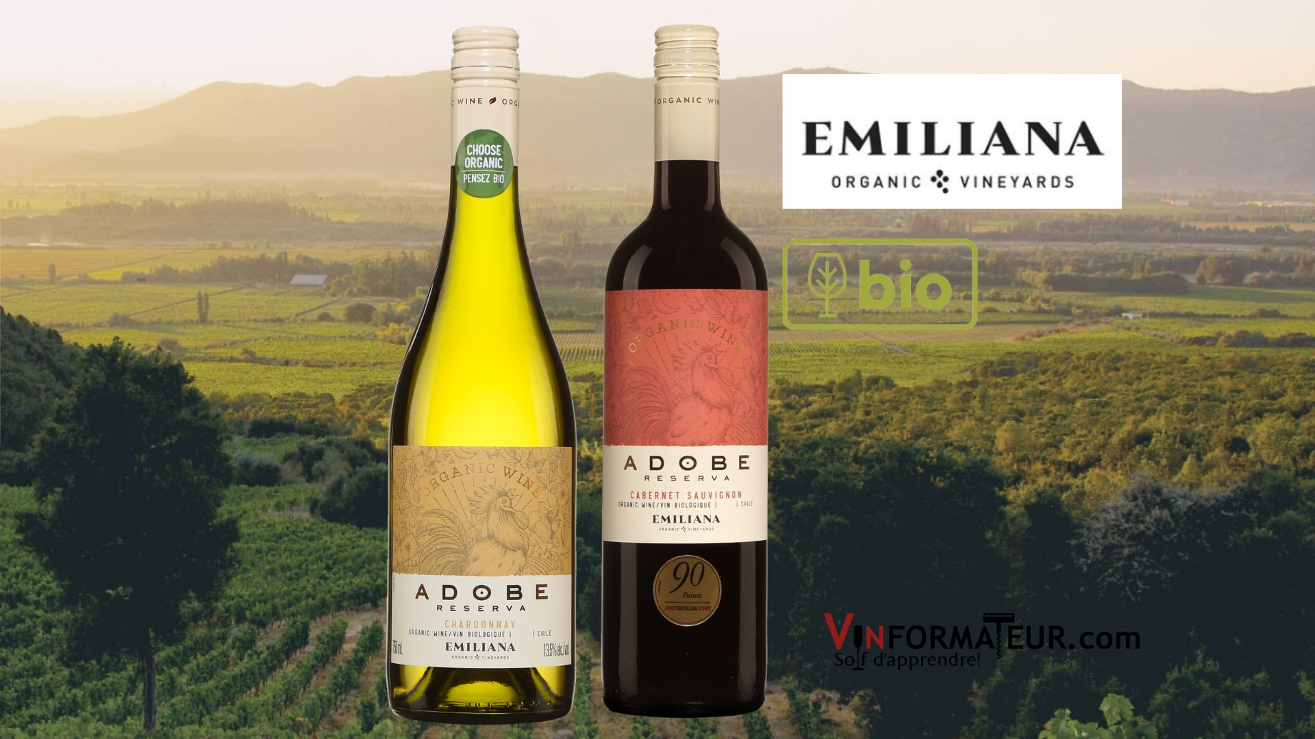 Vins bios du Chili de marque Adobe Reserva | Vinformateur