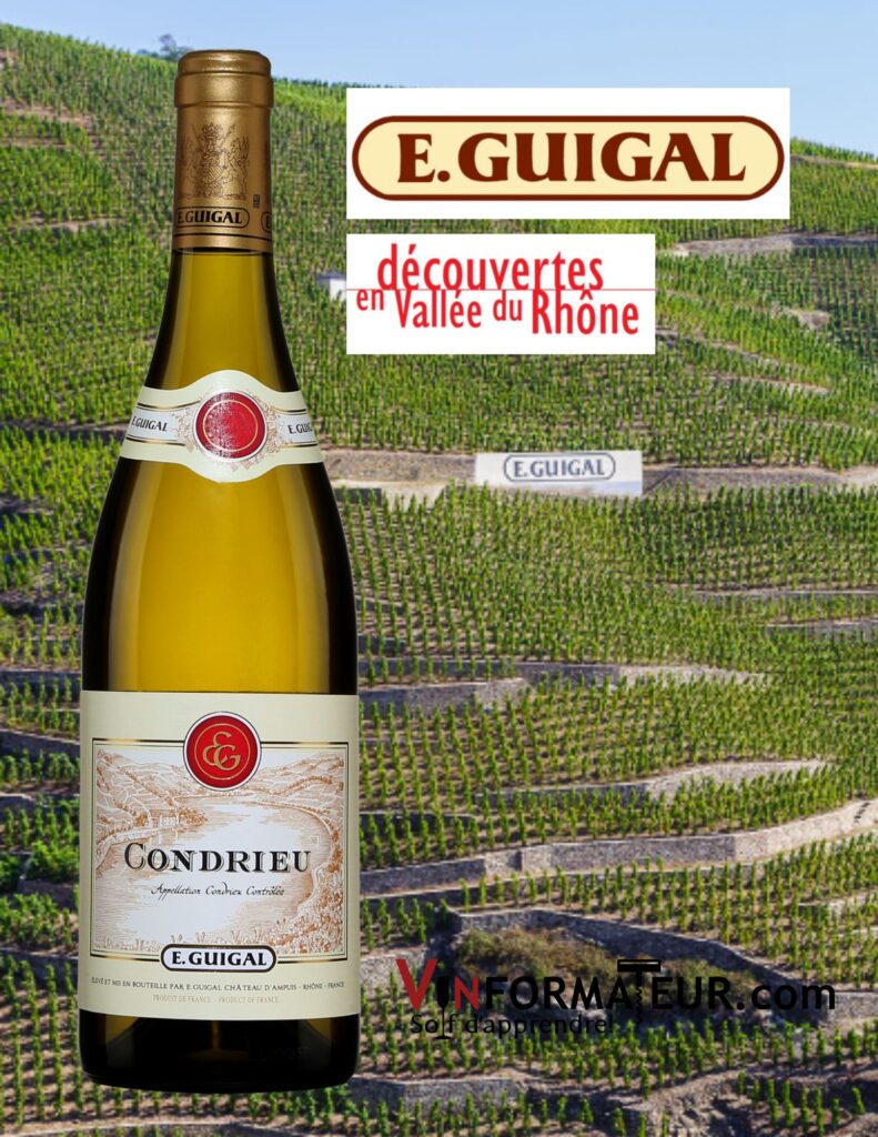 Vins de Condrieu de l'or à l'état pur! | Vinformateur