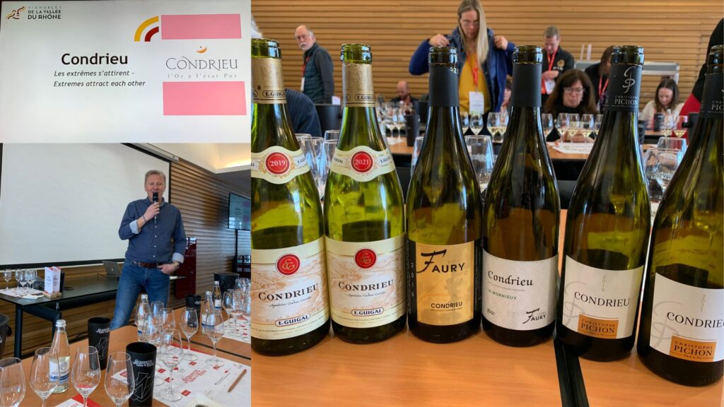 Vins de Condrieu de l'or à l'état pur! | Vinformateur