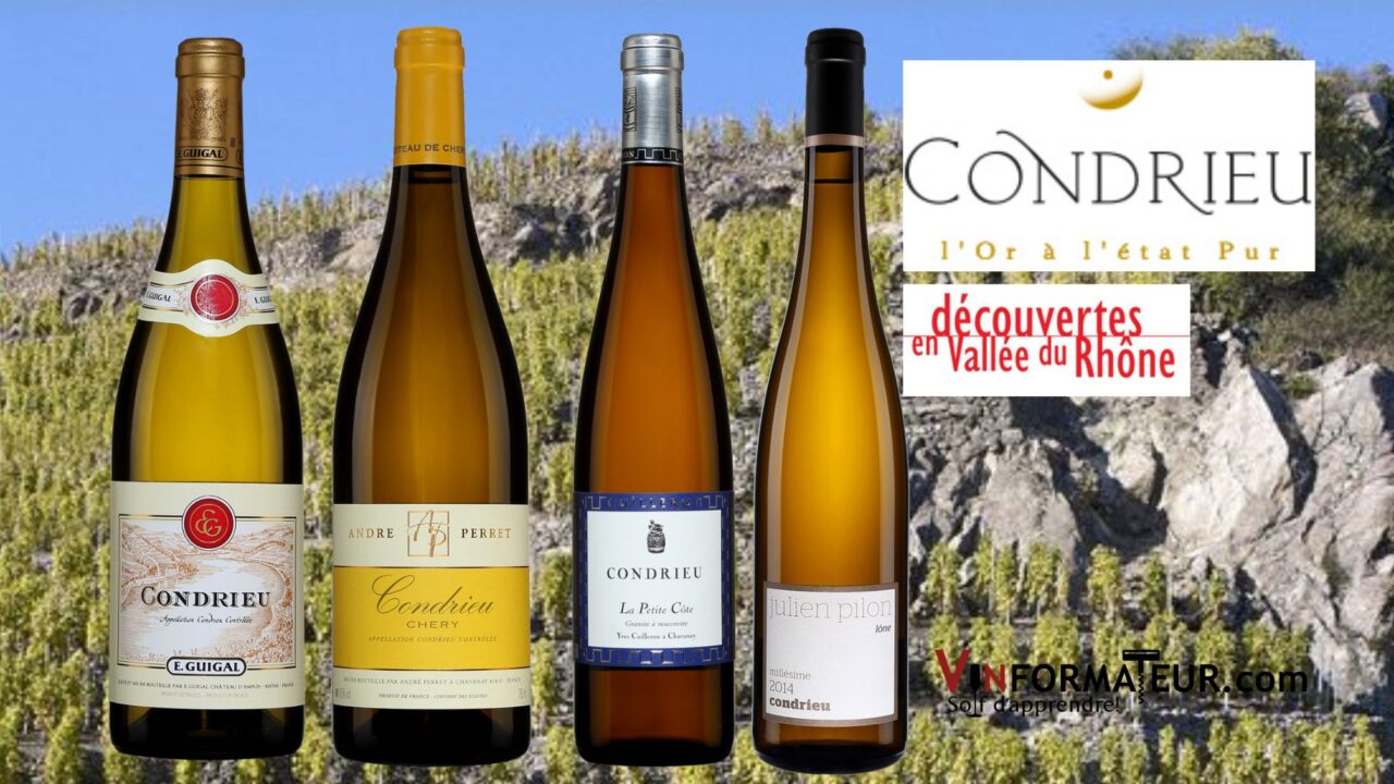 Vins de Condrieu de l'or à l'état pur! | Vinformateur