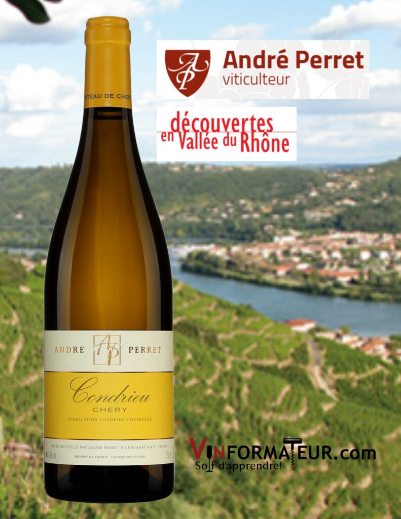 Vins de Condrieu de l'or à l'état pur! | Vinformateur