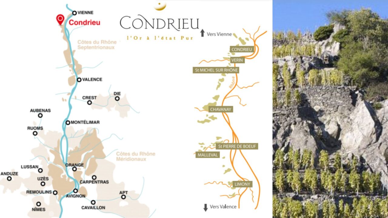 Vins de Condrieu de l'or à l'état pur! | Vinformateur