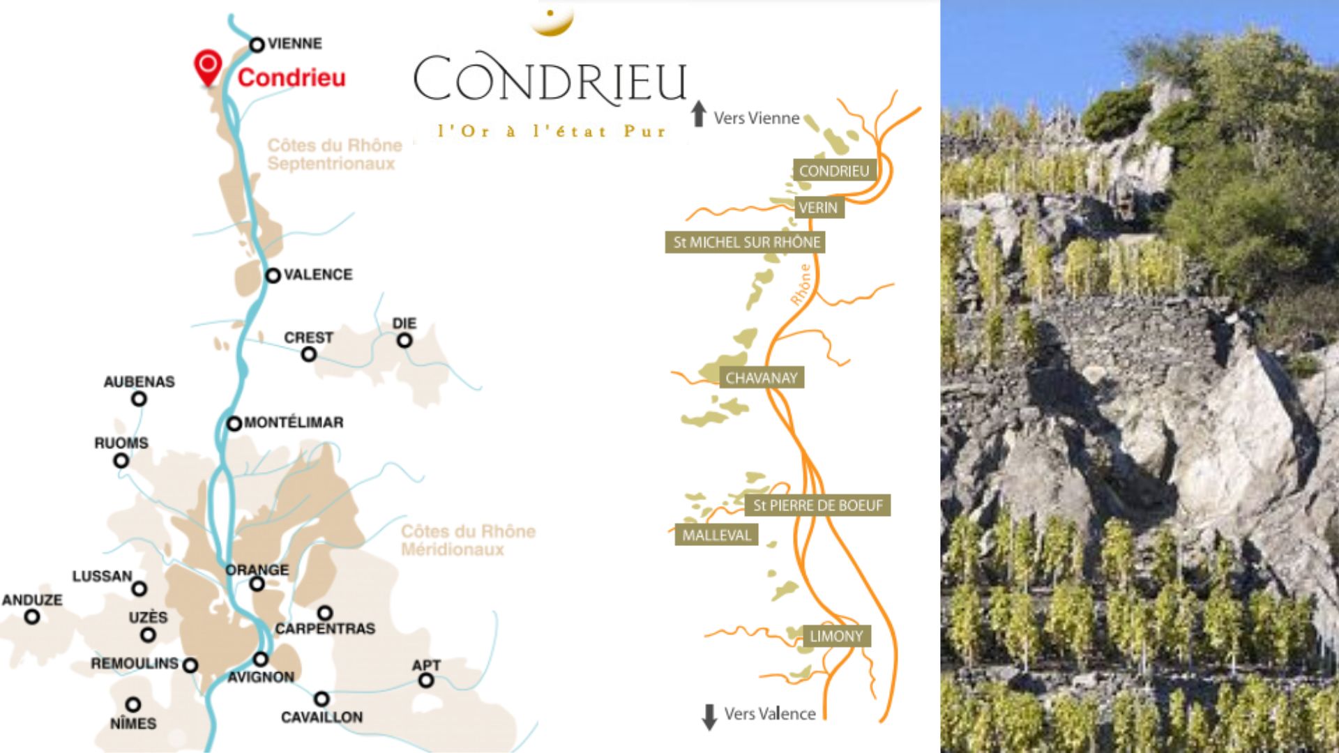 Vins de Condrieu de l'or à l'état pur! | Vinformateur
