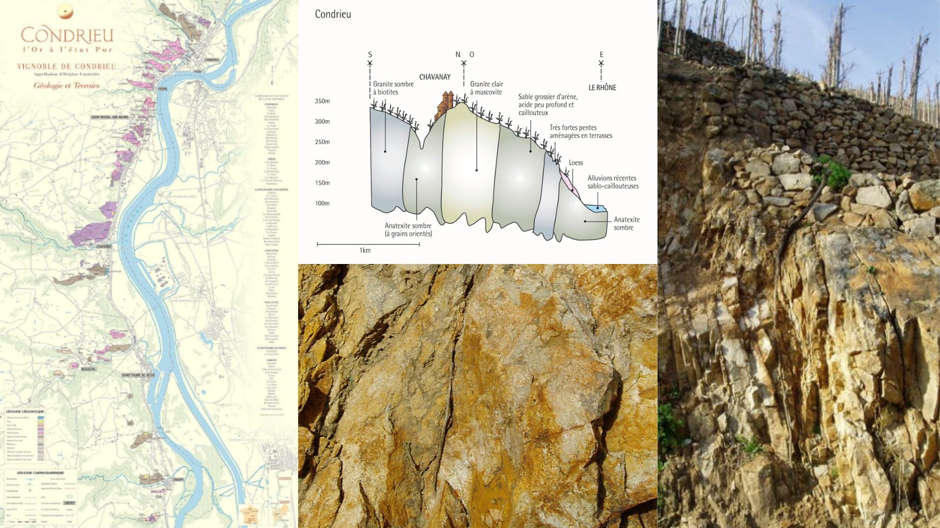 Vins de Condrieu de l'or à l'état pur! | Vinformateur