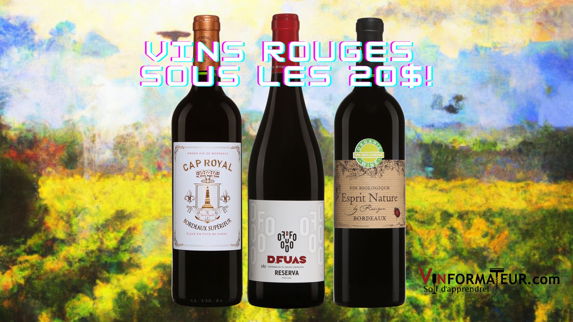 Trois vins rouges sous les 20$ | Vinformateur
