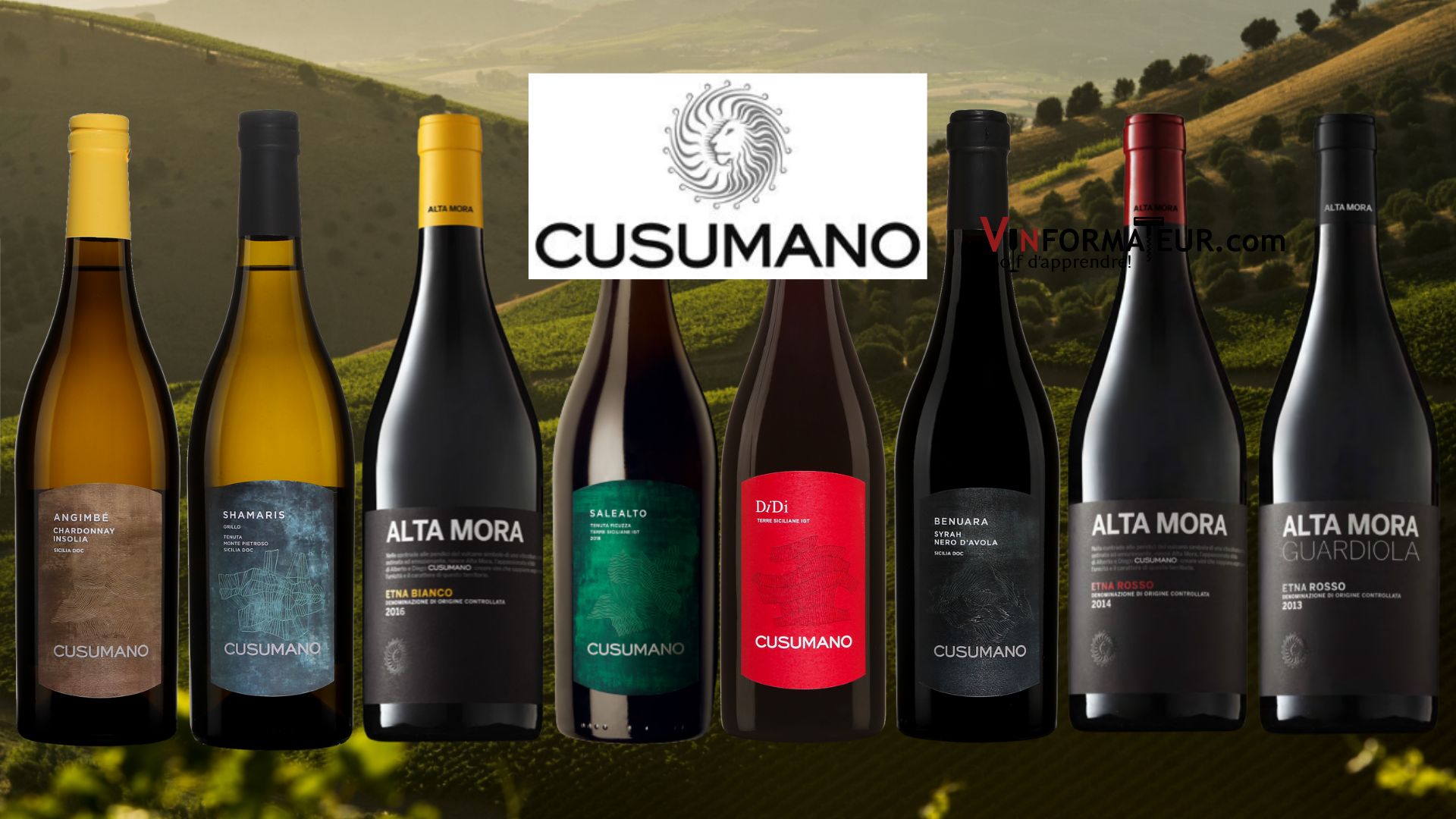 Vins Sicile Cusumano Alta Mora | Vinformateur