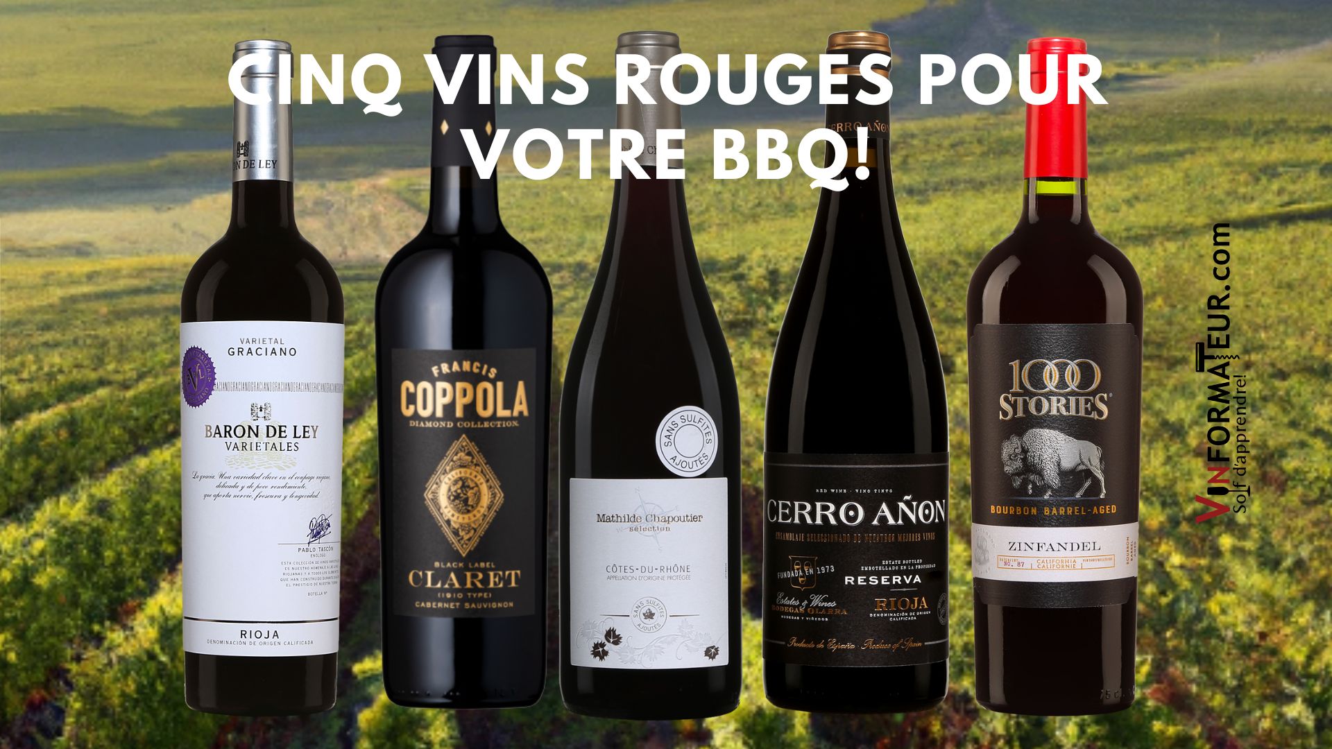Cinq vins rouges pour votre BBQ | Vinformateur