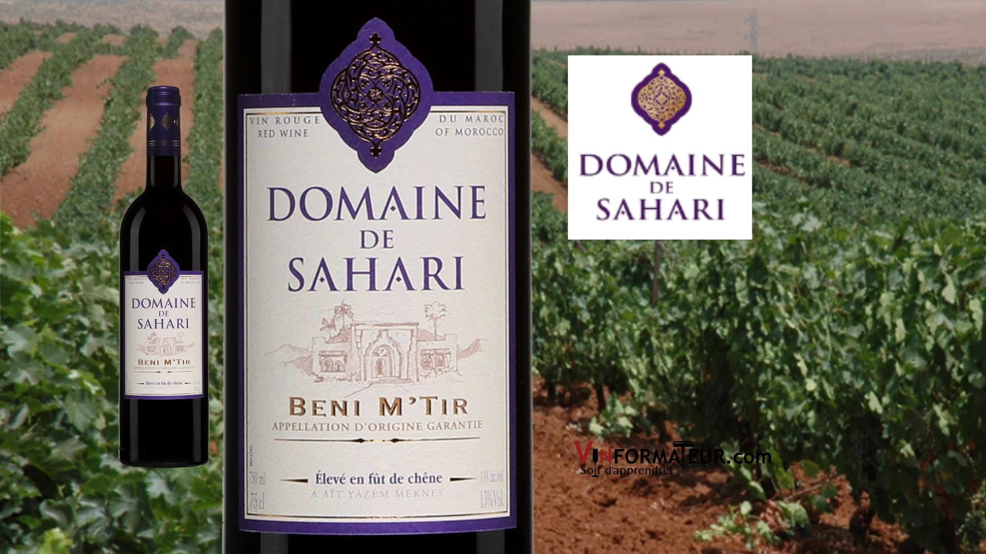 Vin du Maroc Domaine de Sahari | Vinformateur