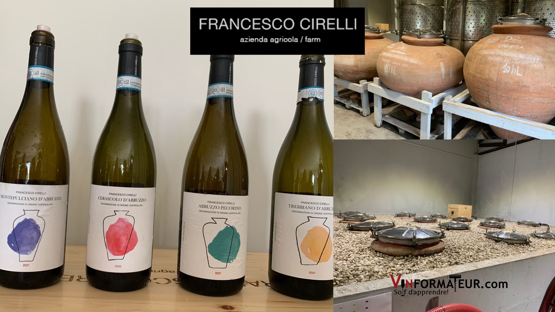 Francesco Cirelli vigneron avant-gardiste des Abruzzes | Vinformateur