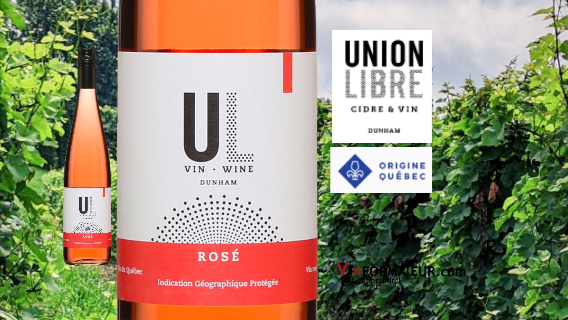 Vins rosé 2022 Union Libre | Vinformateur