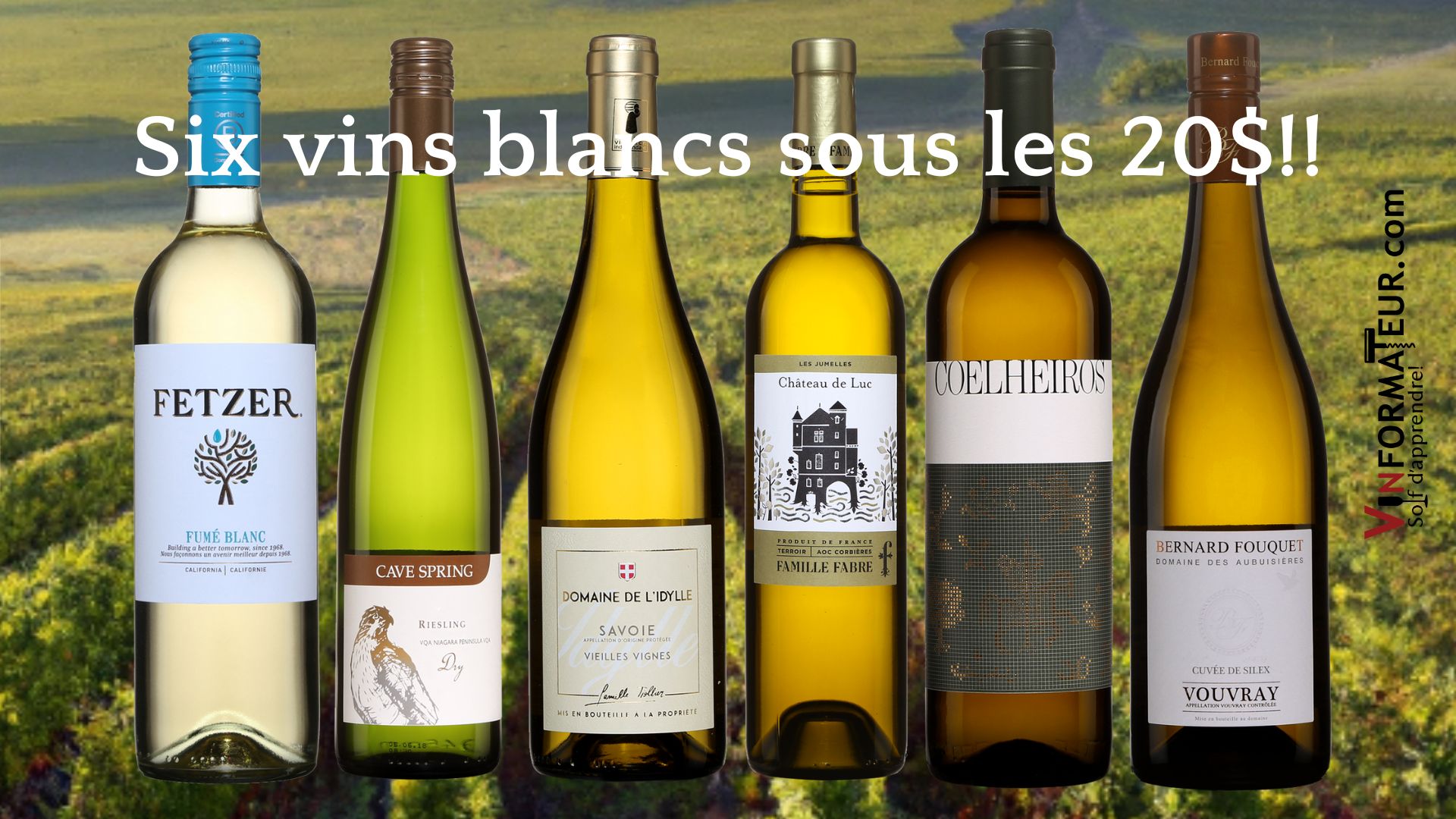 Suggestion de six Vins blancs sous les 20$ | Vinformateur