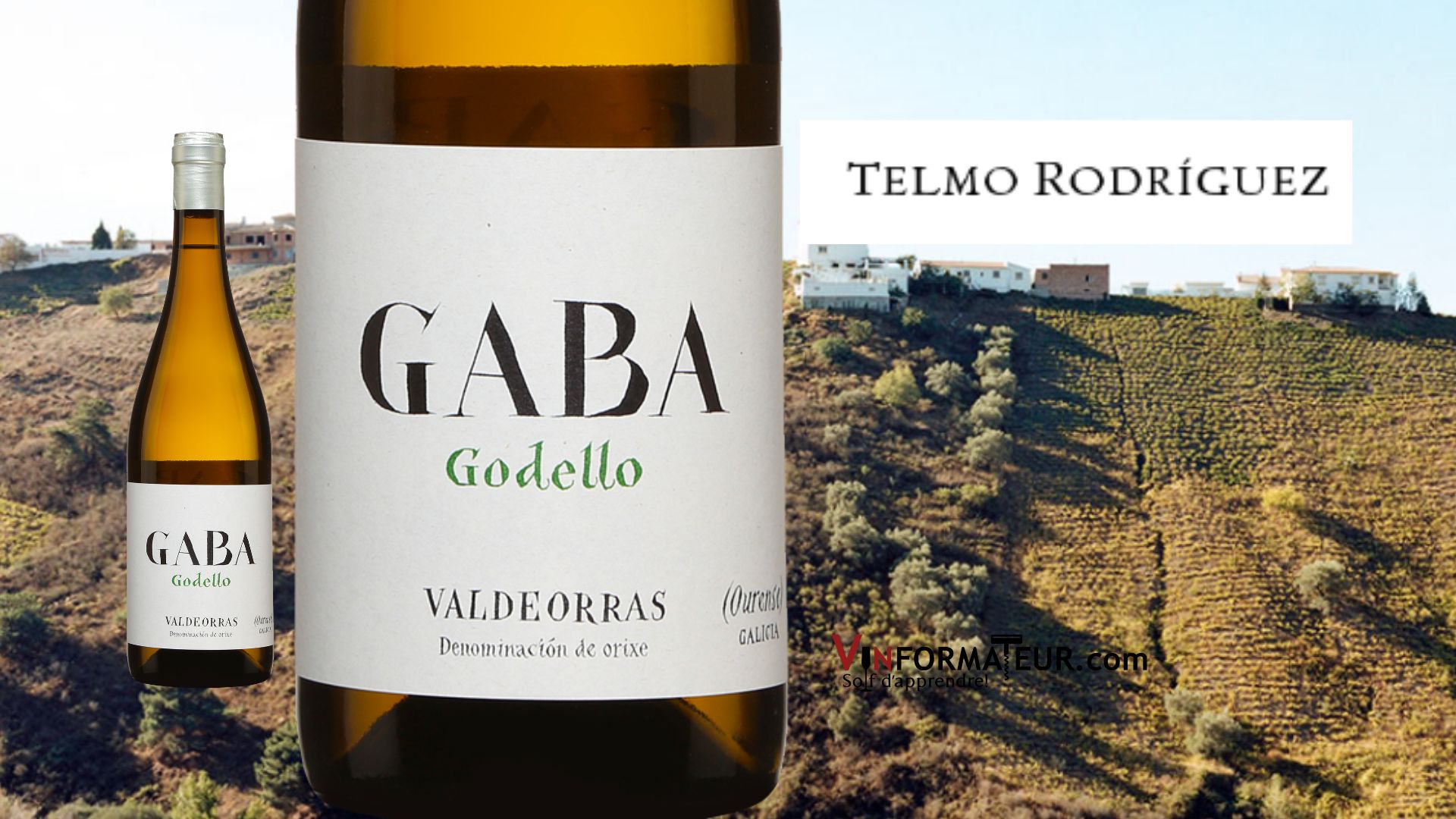 Godello Gaba Telmo Rodrigues branco 2022 | Vinformateur