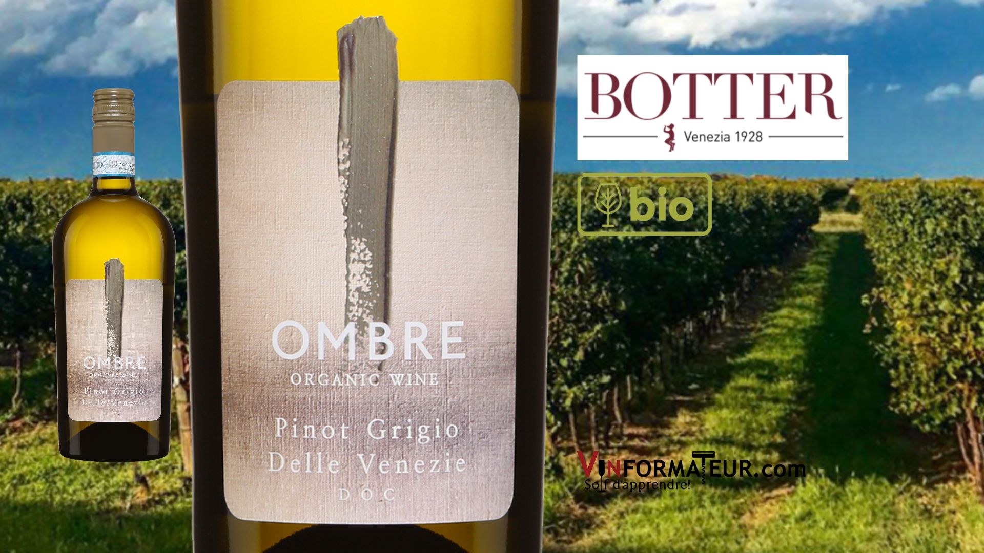Pinot Grigio delle Venezie DOC bio Botter | Vinformateur