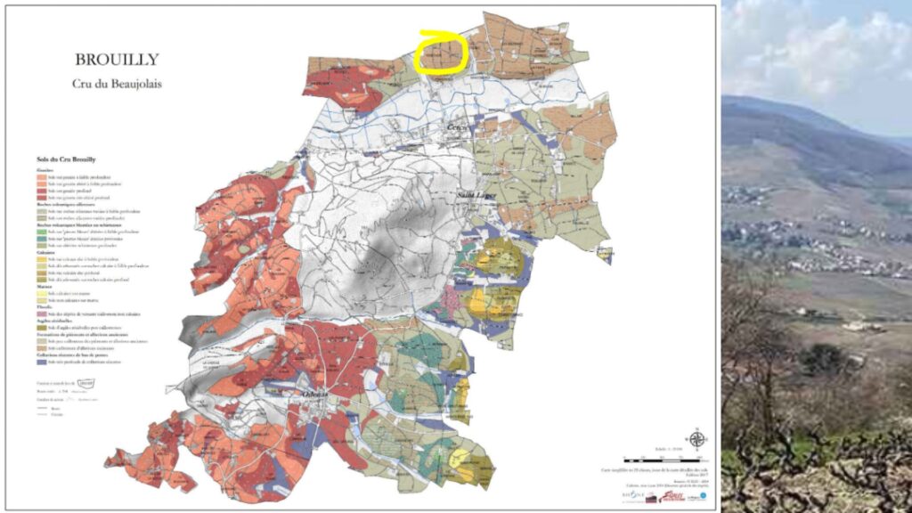Domaine Ruet Brouilly Voujon 2020 | Vinformateur