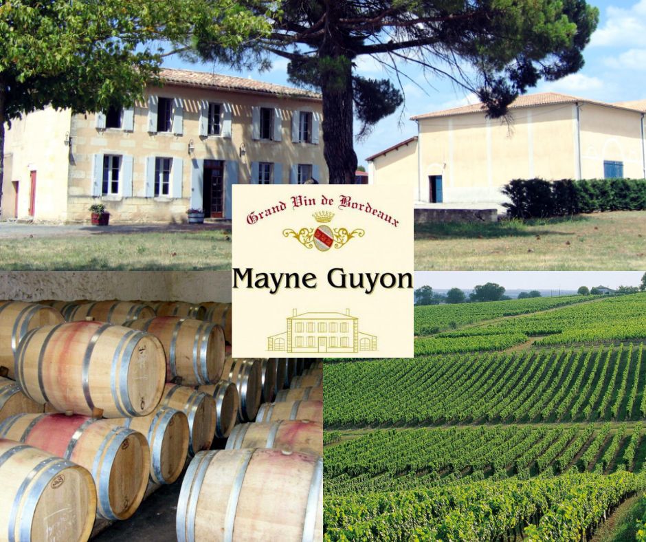 Quatre vins sous les 20$ pour votre BBQ | Vinformateur