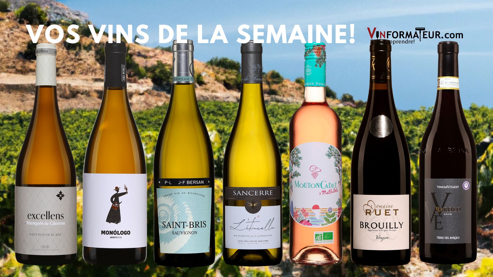Vins blancs rosés et rouges de la semaine | Vinformateur