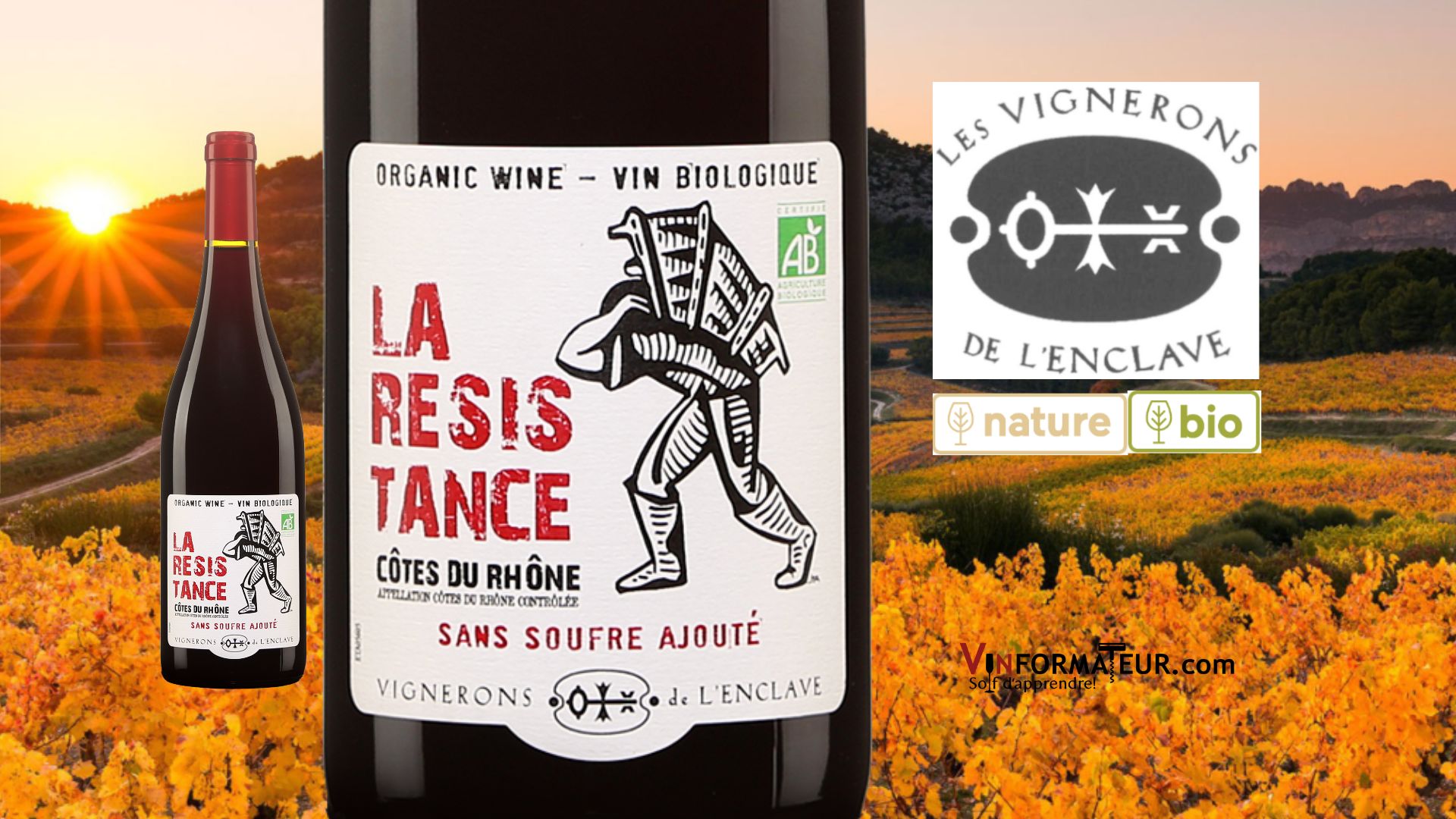 Vin rouge bio La Résistance Côtes du Rhône | Vinformateur