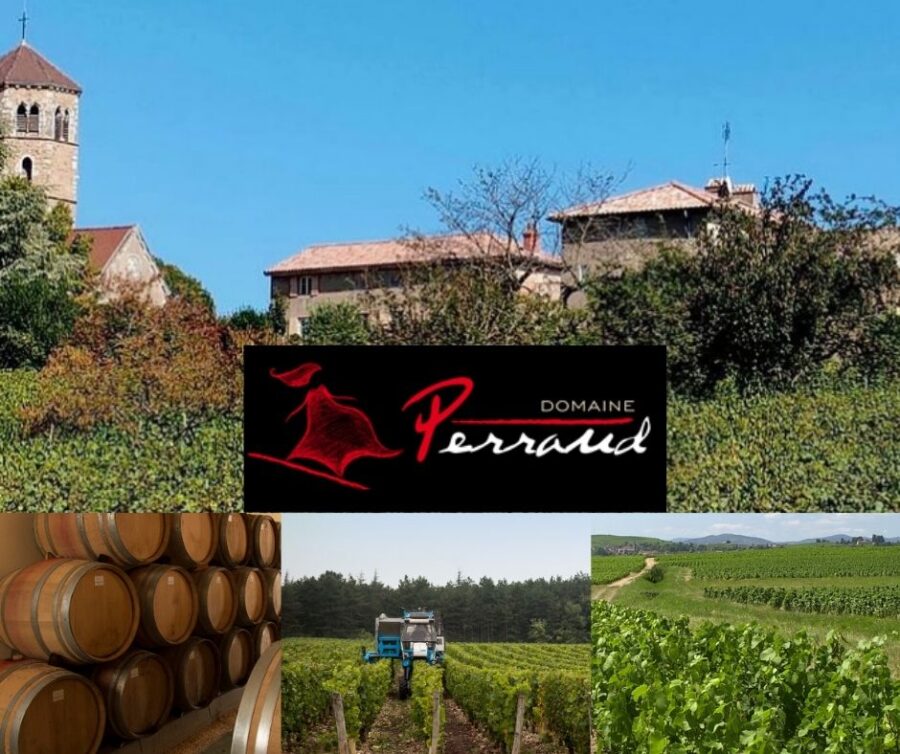 Mâcon Villages vin blanc domaine perraud | Vinformateur
