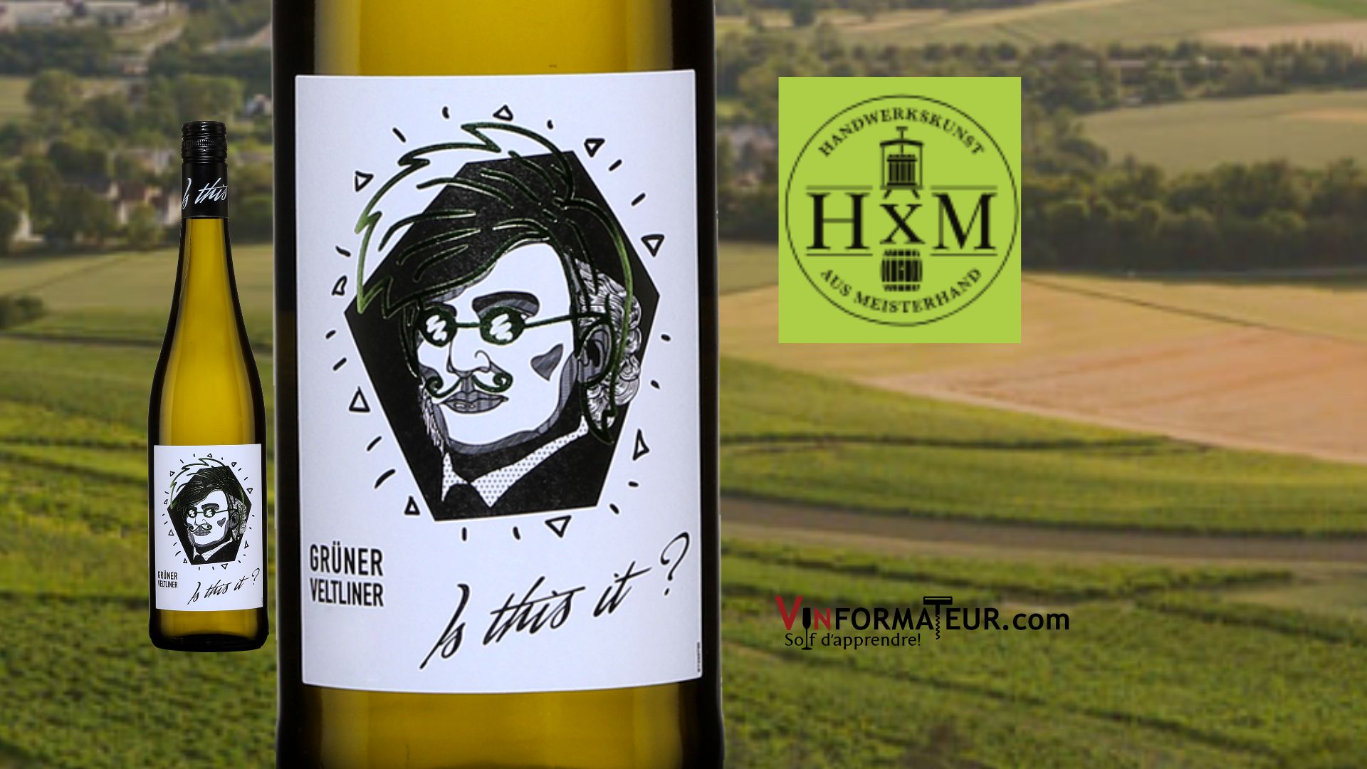 Vin blanc Gruner Veltliner Is this it | Vinformateur