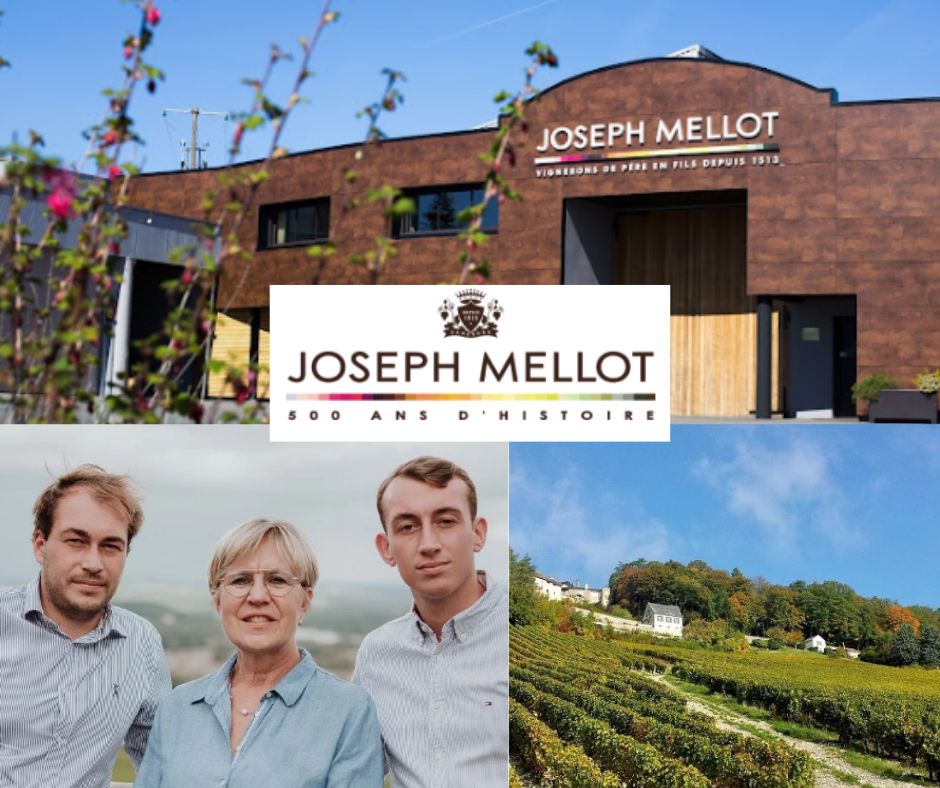 Menetou-Salon vin blanc Joseph Mellot Les Thuraux | Vinformateur