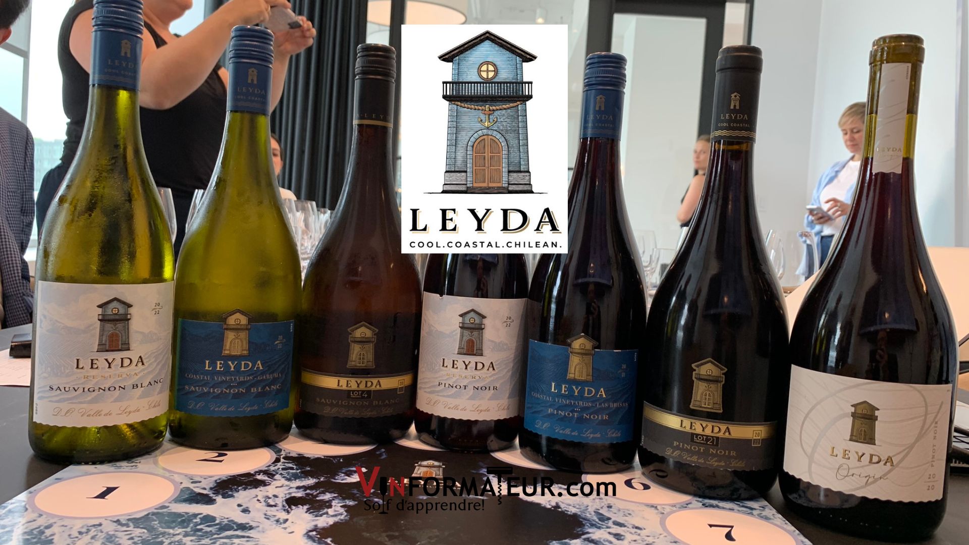 Vins du Chili Vina Leyda | Vinformateur