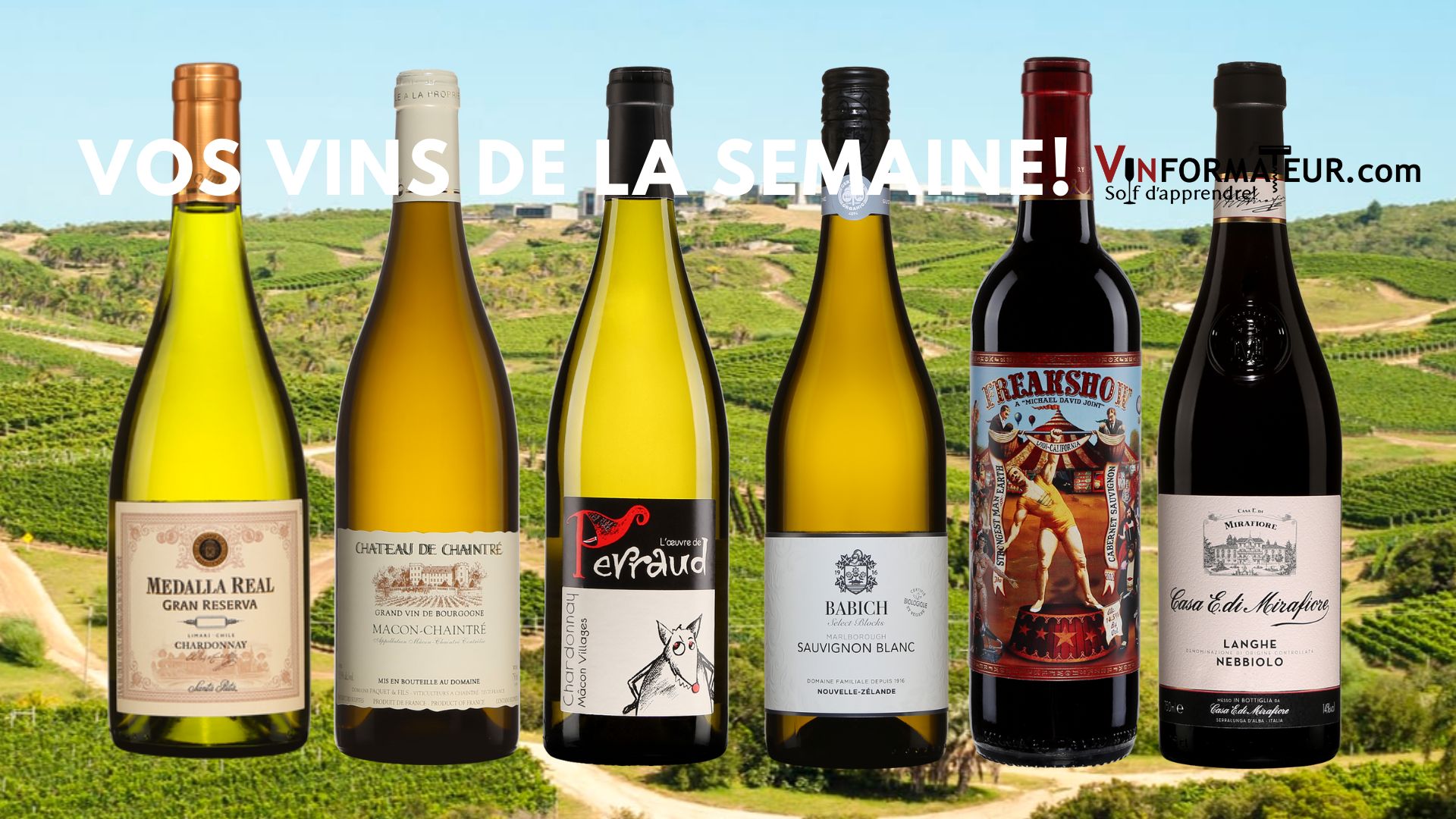 Vins blancs et vins rouges de la semaine | Vinformateur