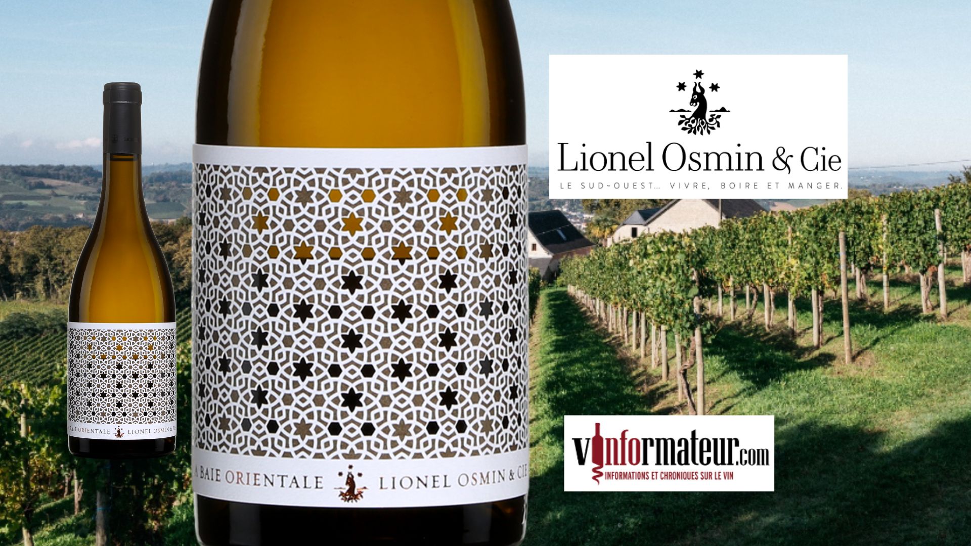 vin blanc la baie orientale 2022 | Vinformateur