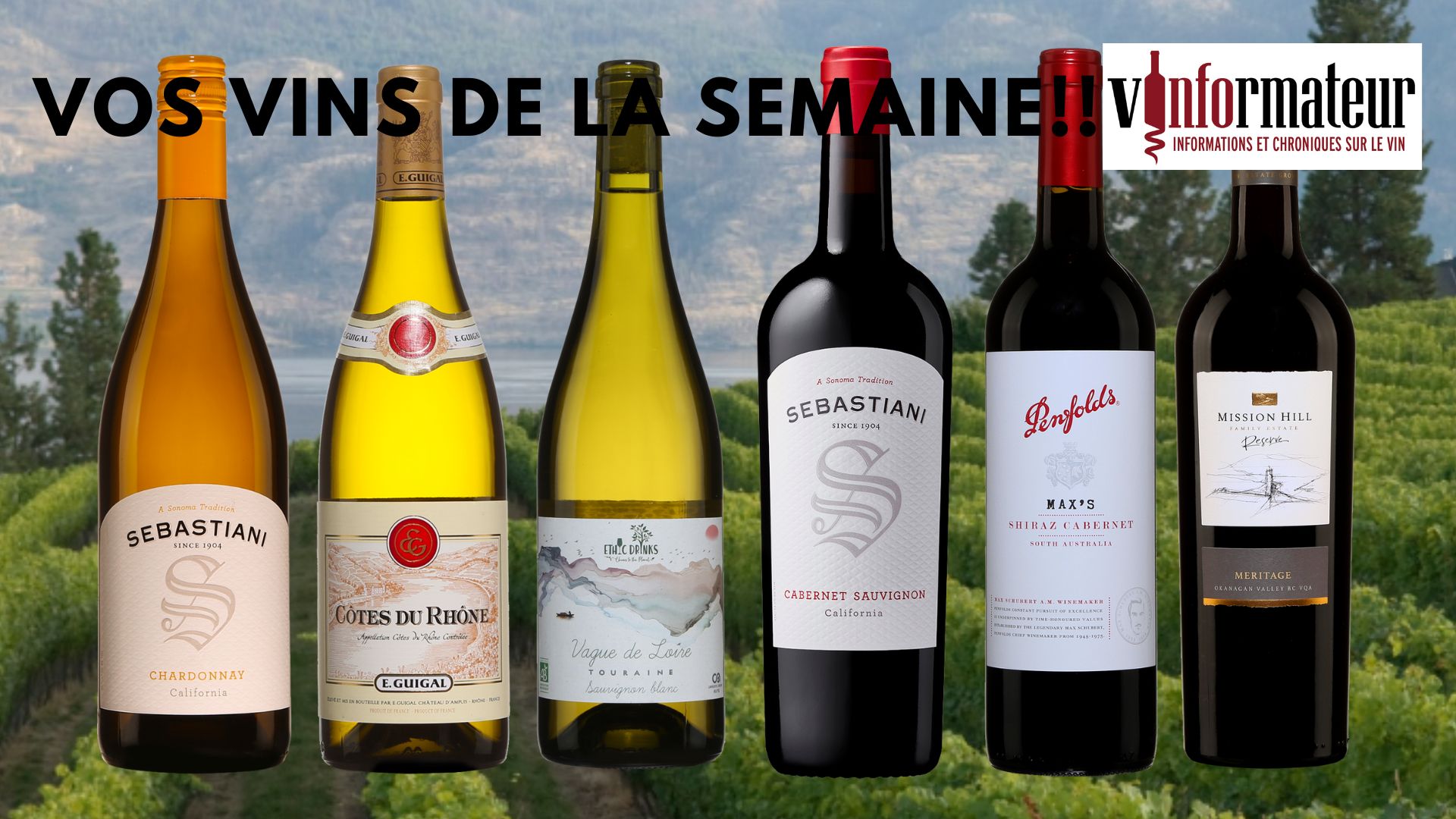 Vins rouges blancs de la semaine | Vinformateur