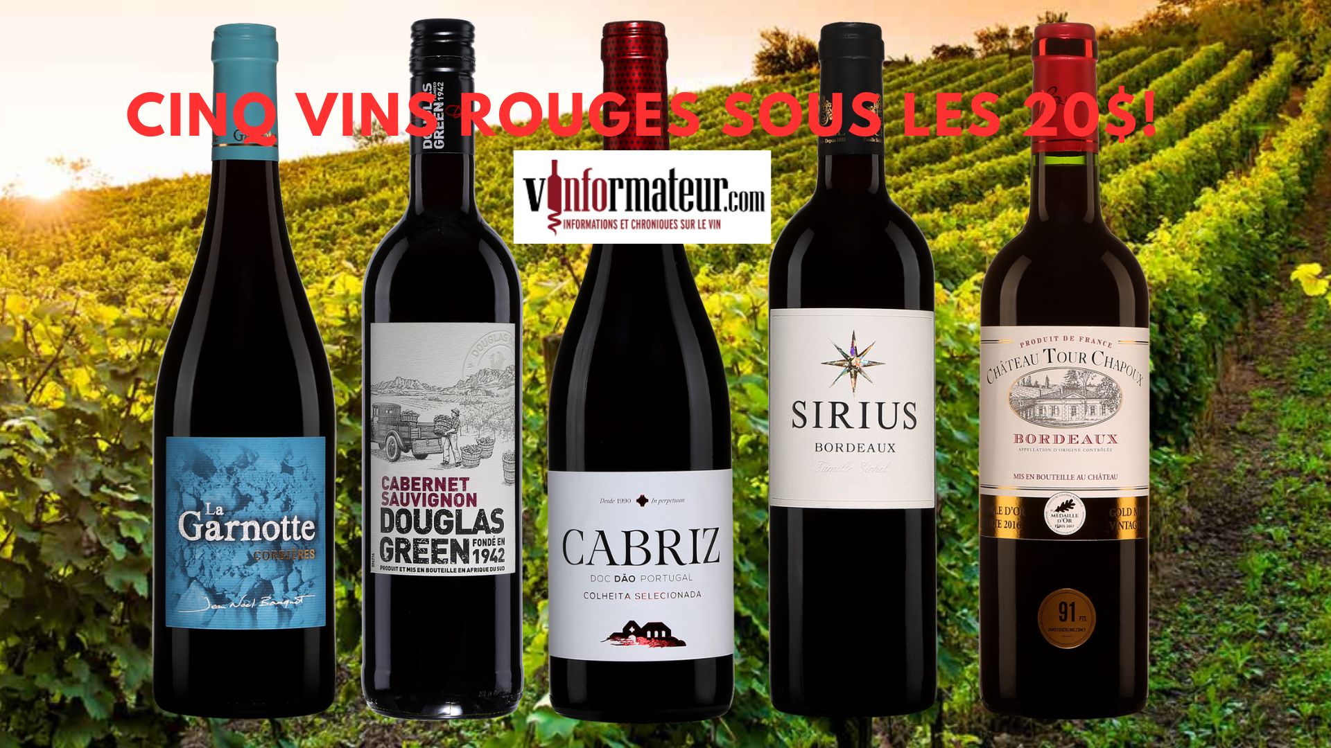 Des vins rouges sous les 20$ | Vinformateur