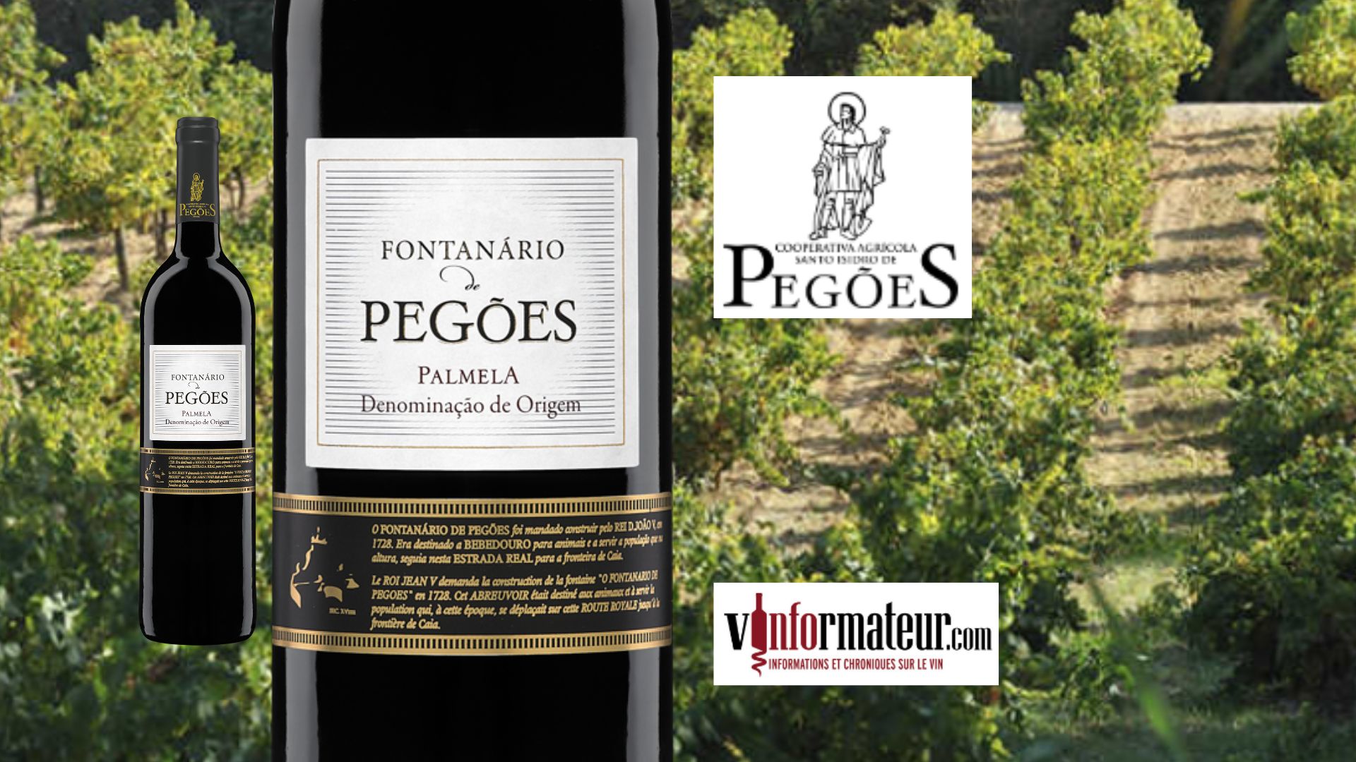 Vin rouge portugal Fontanario de Pegoes 2020 | Vinformateur