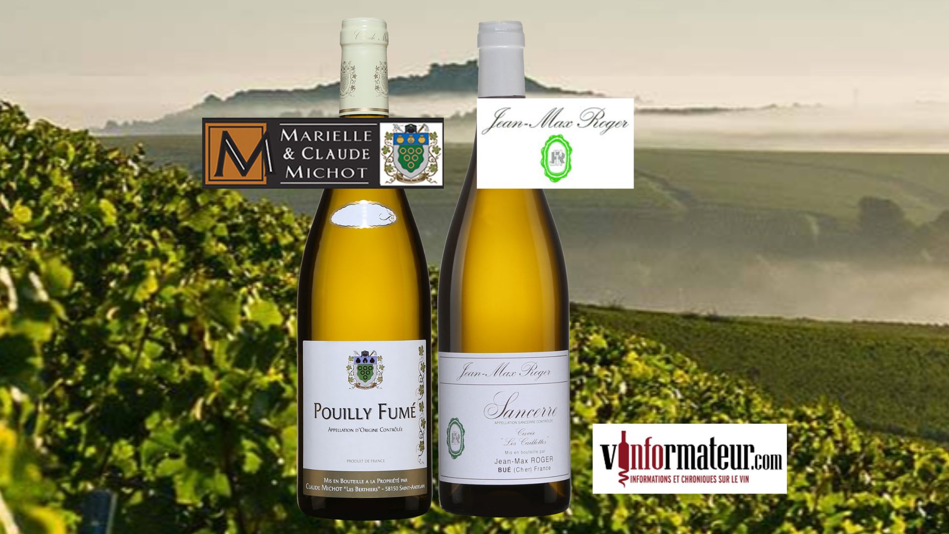 vins blancs sancerre et pouilly fumé | Vinformateur