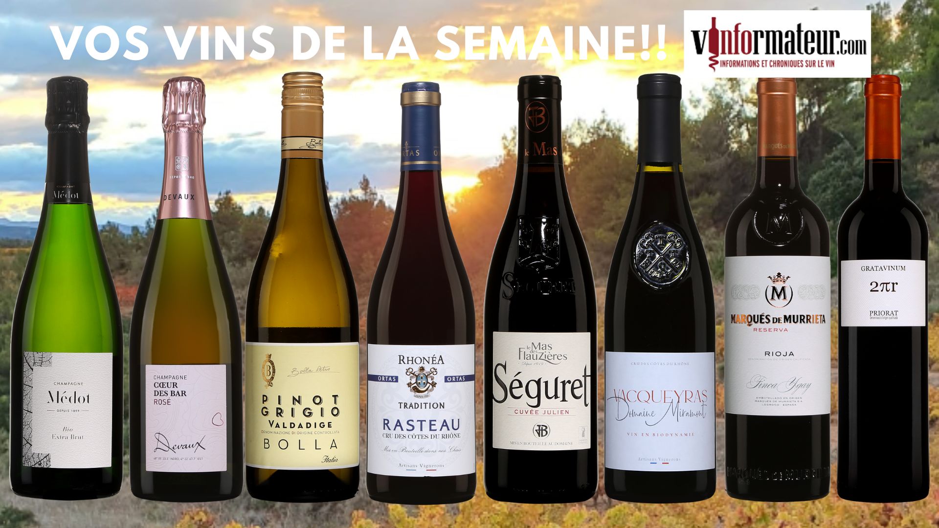 Champagnes vins blancs et vins rouges | Vinformateur