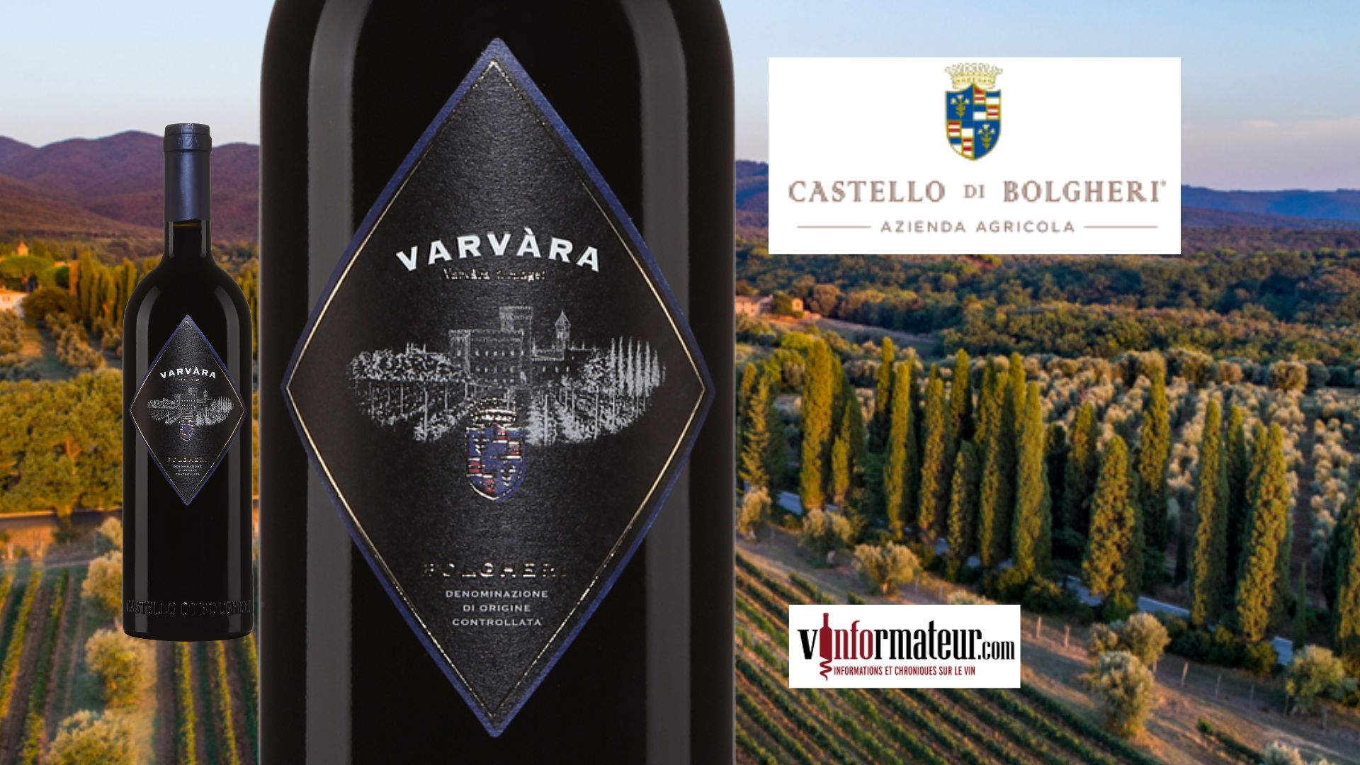 Varvara Bolgheri | Vinformateur