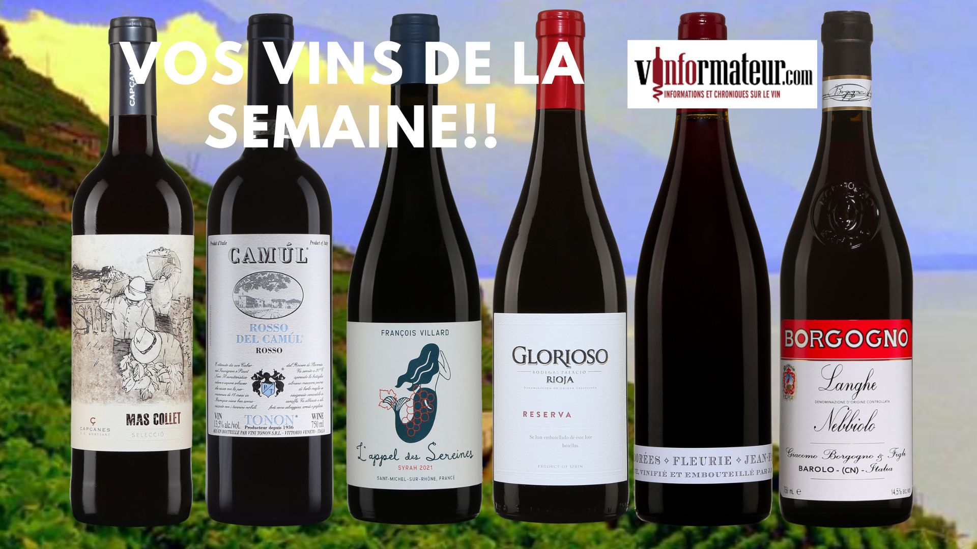 Vins rouges | Vinformateur