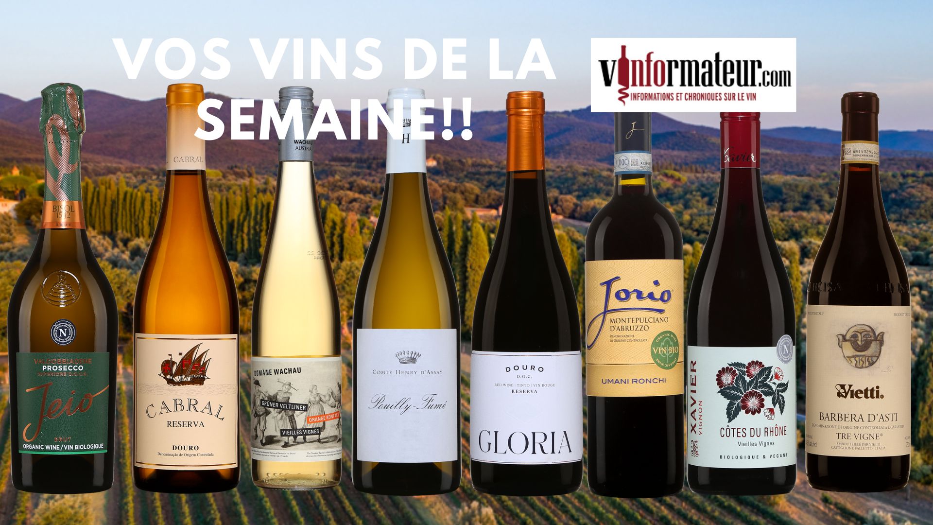 vins rouges blancs orange mousseux de la semaine | Vinformateur