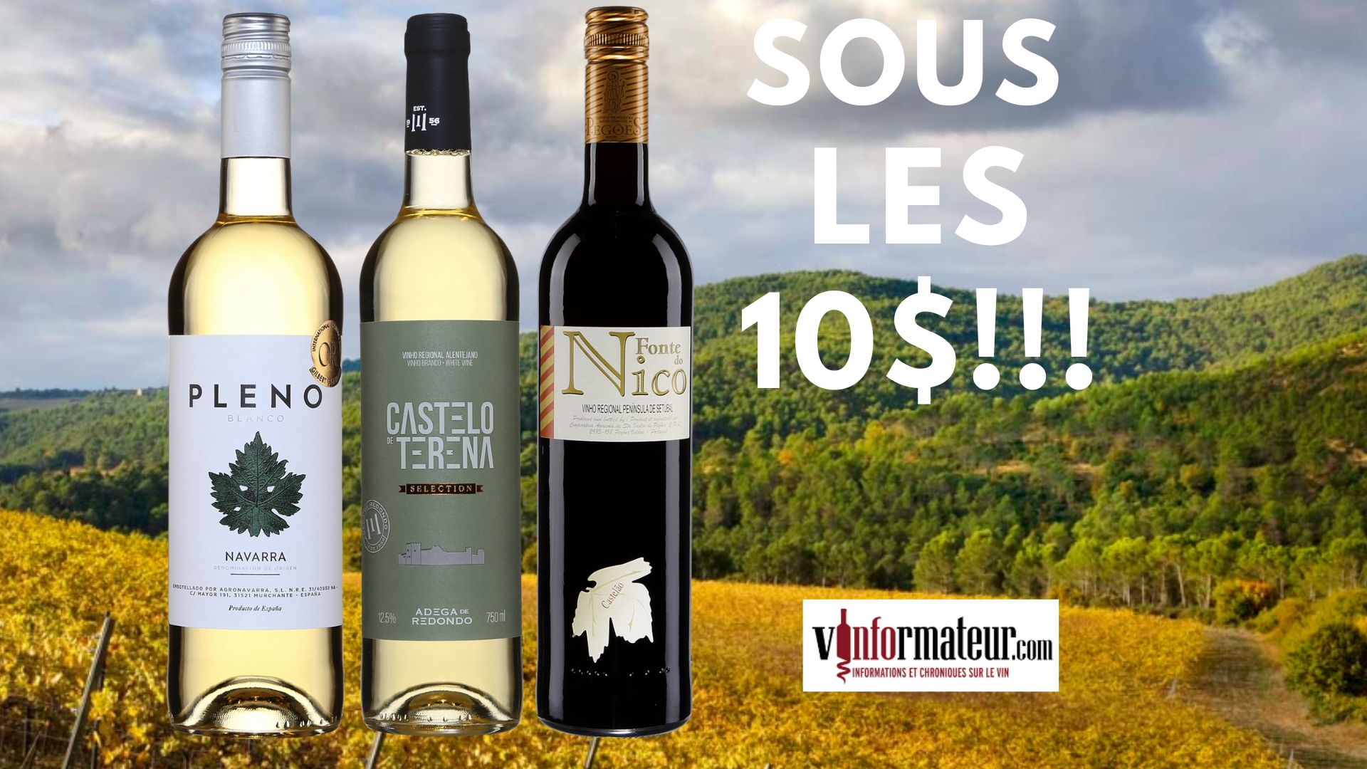 trois vins blancs rouge sous les 10$ | Vinformateur